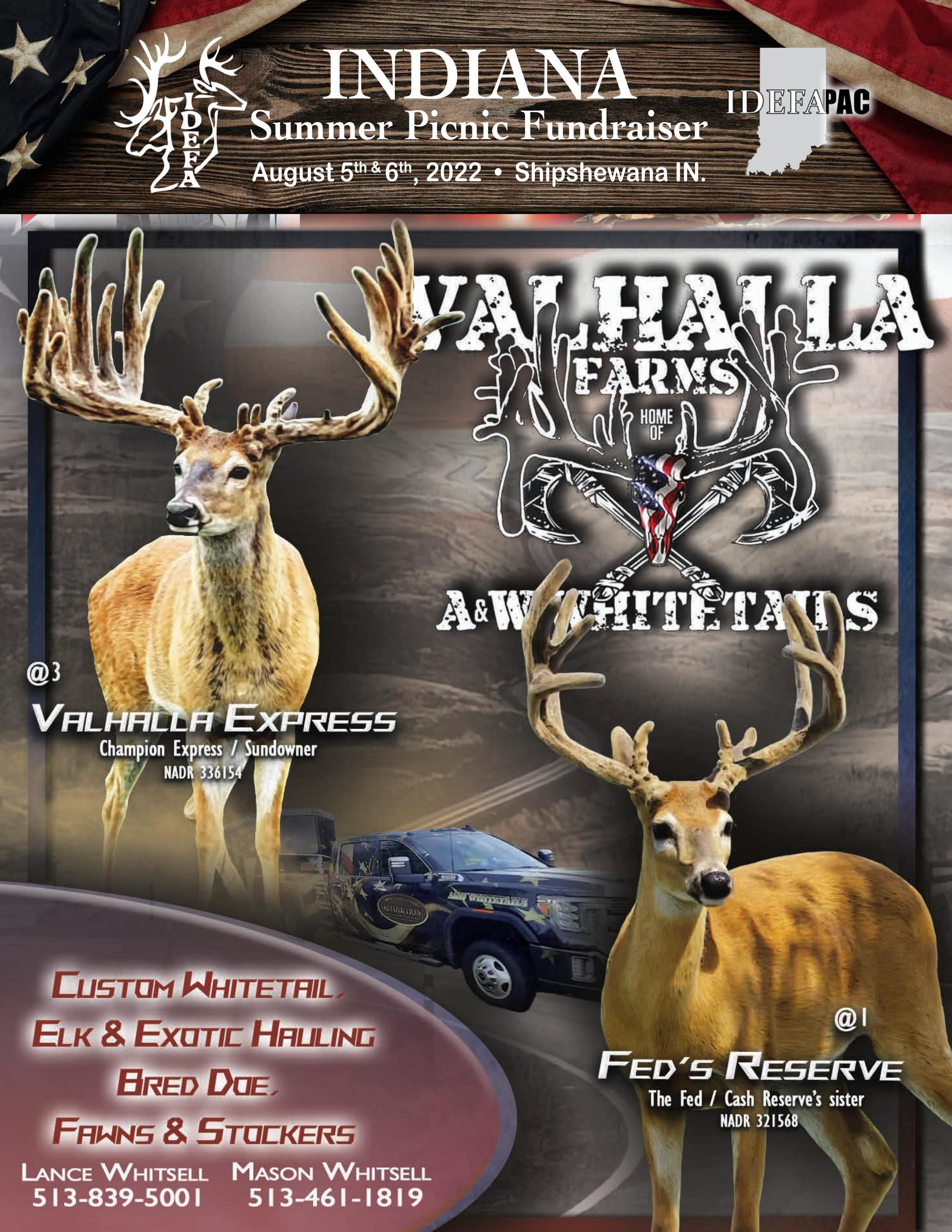 IDEFA Auction Catalog by DandKDesign - Issuu