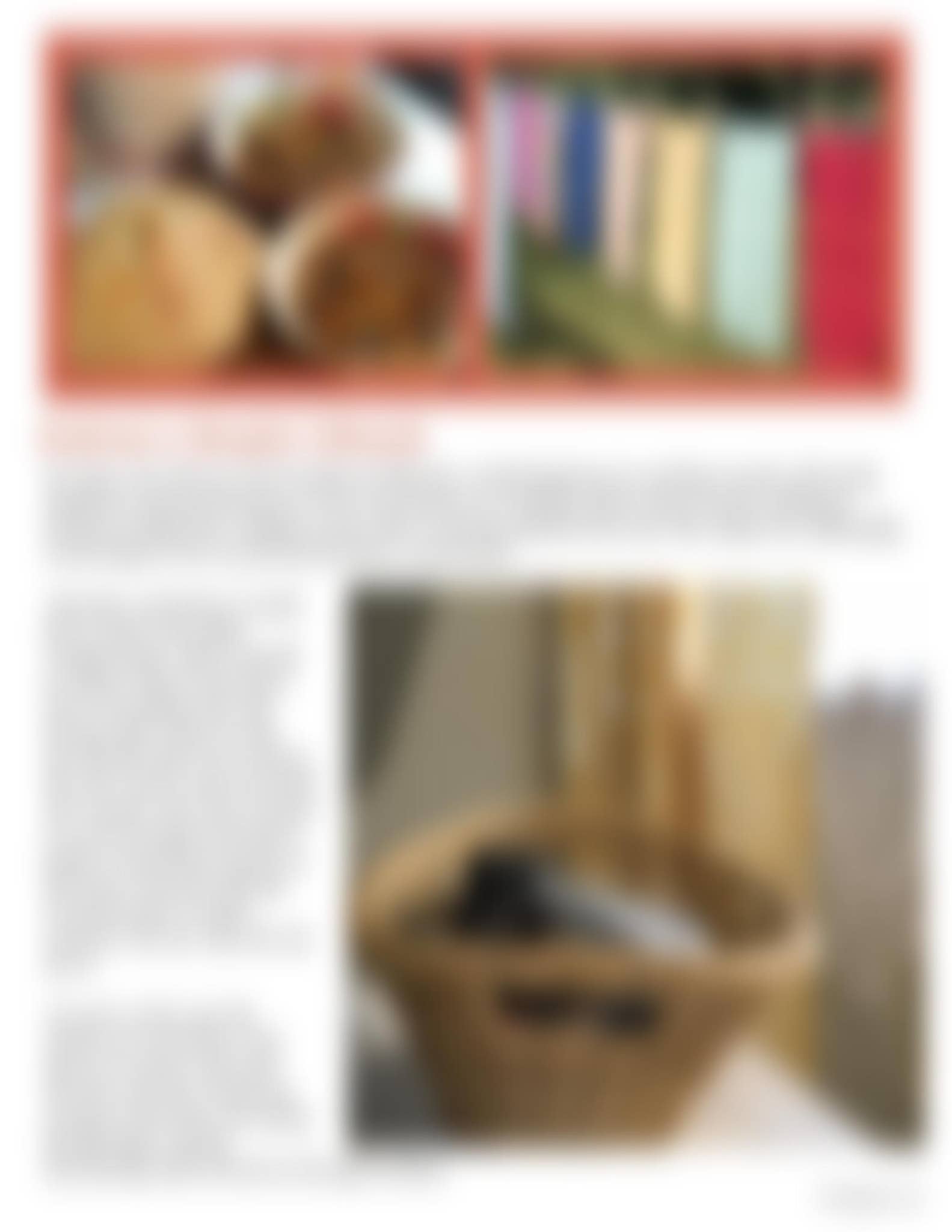Cottagecore Magazine: Winter by CottagecoreMagazine - Issuu