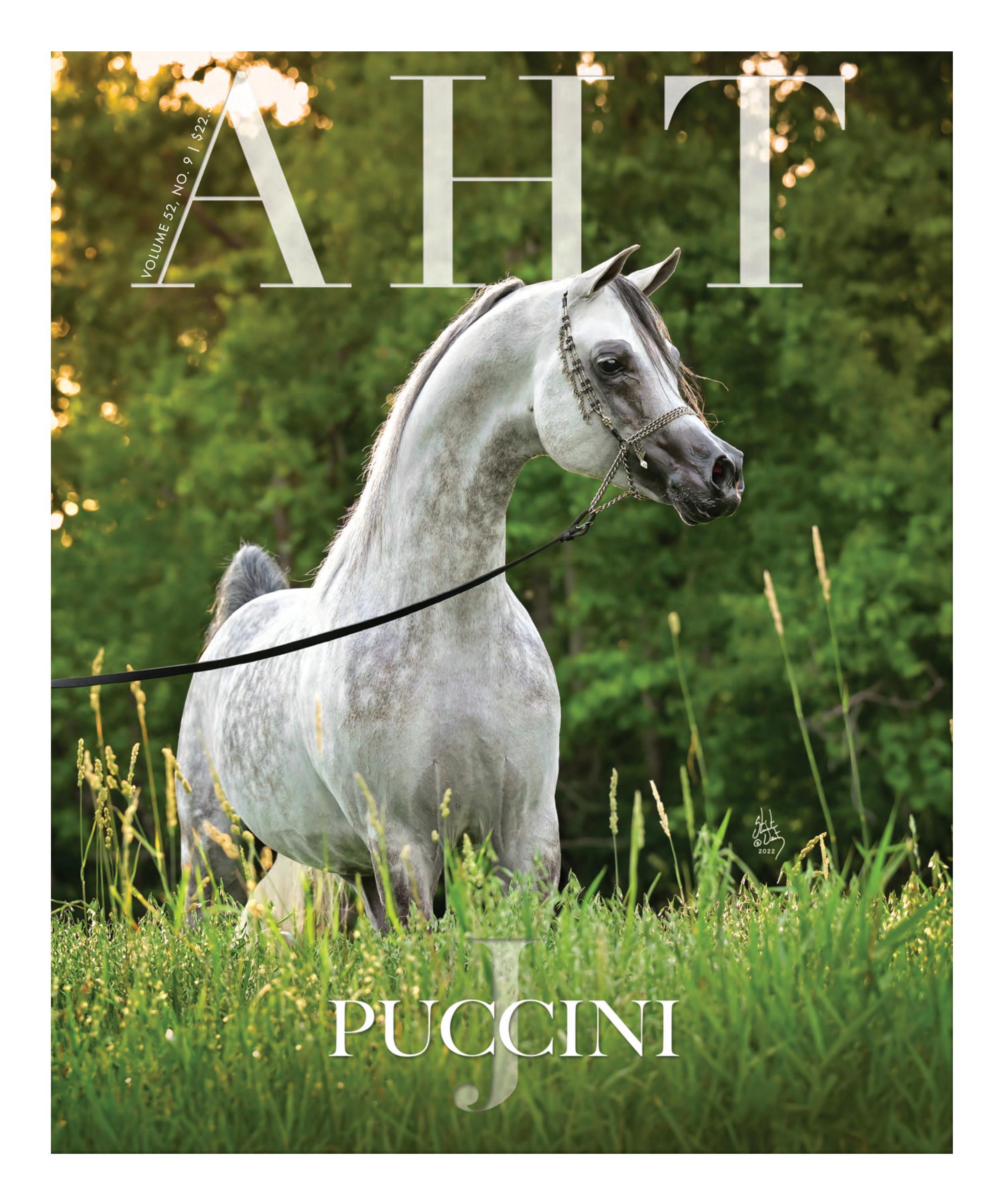 Arabian Horse Times Vol 52 No 9 August 2022 By Arabian Horse Times Arabian Horse Times Vol 52 No 9 August 2022 By Arabian Horse Times