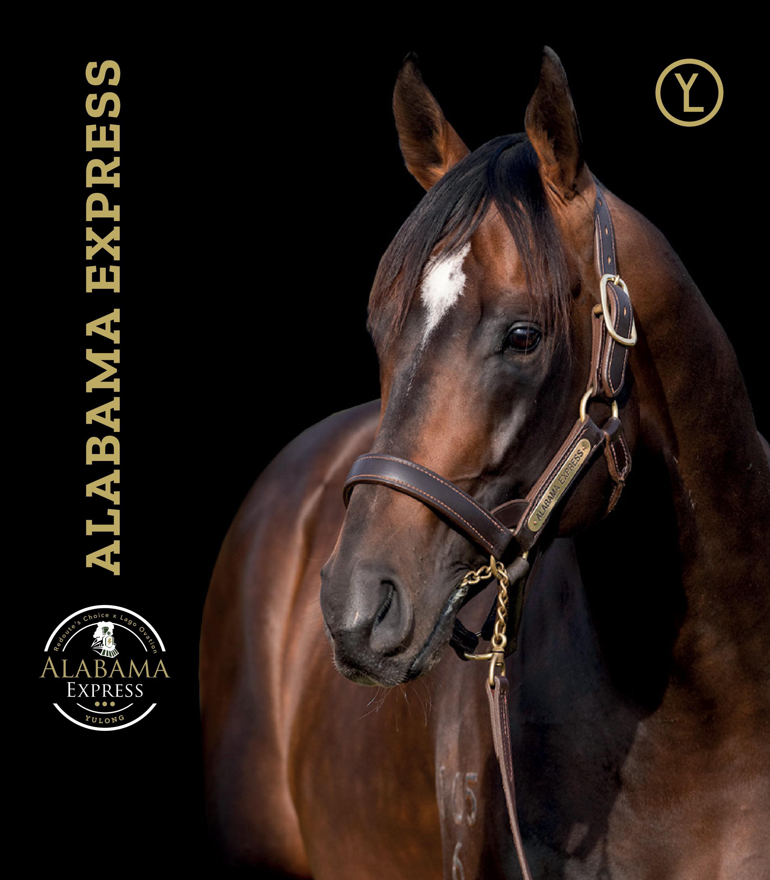 Alabama Express Brochure by kickcollective - Issuu