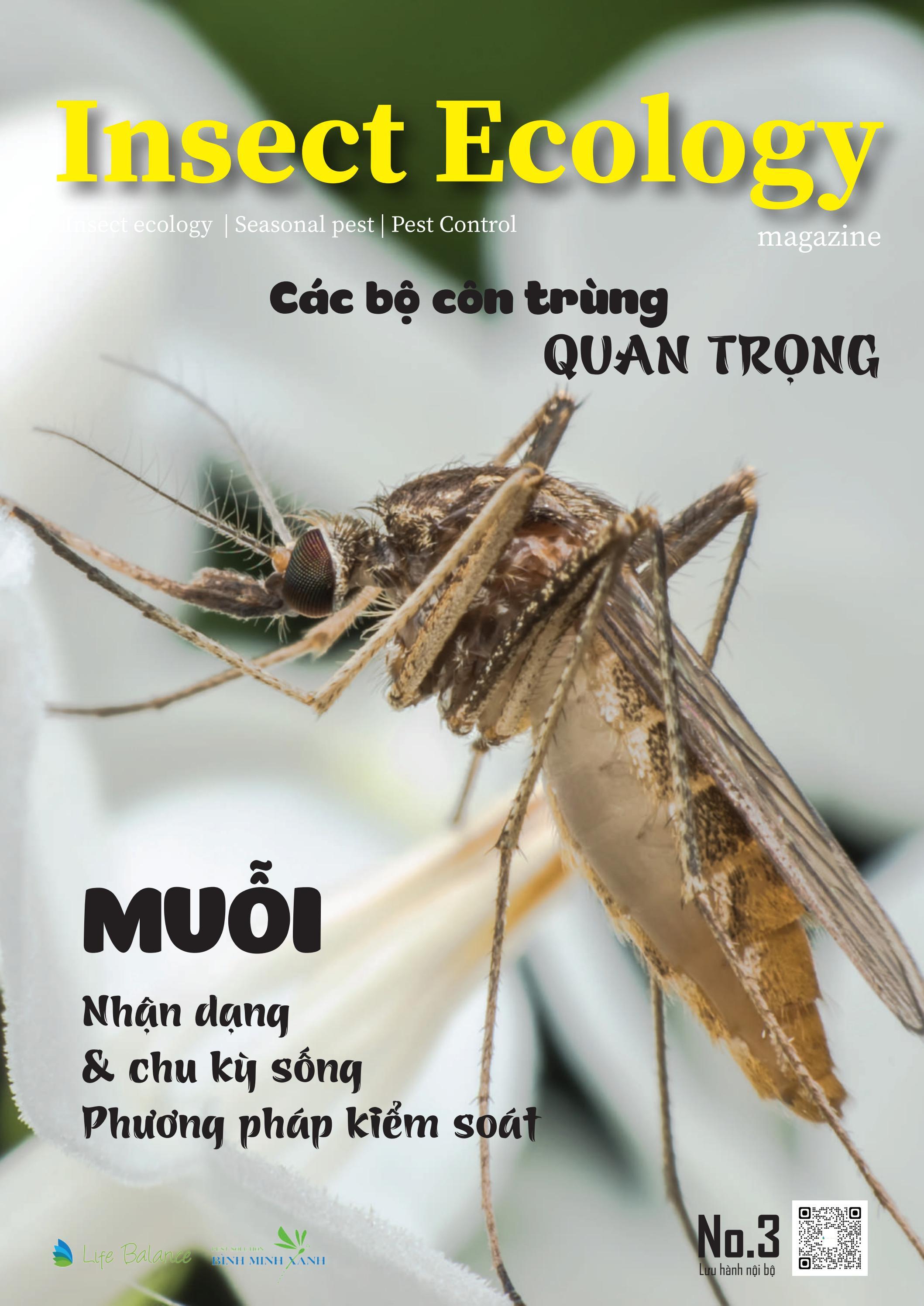 TẠP CHÍ INSECT ECOLOGY | No.3 | Đặc điểm, Chu kỳ sống của muỗi by PMC ...