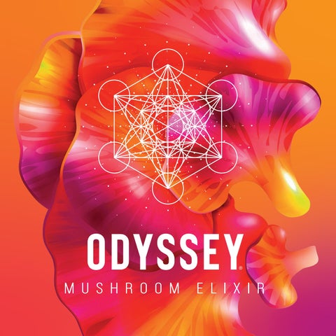 Odyssey Elixir Catalog by OdysseyElixir - Issuu