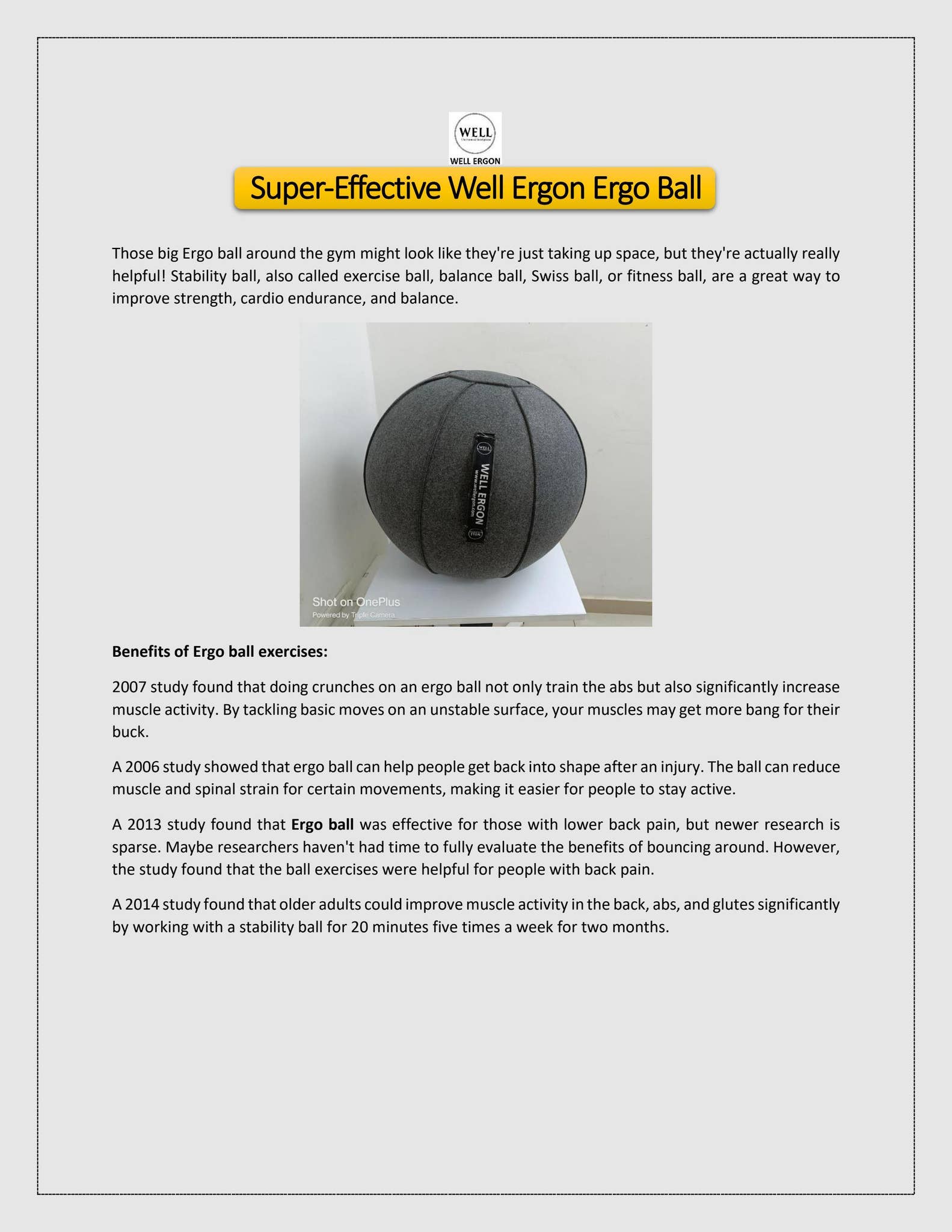 Super-Effective Well Ergon Ergo Ball by WELL ERGON - Issuu