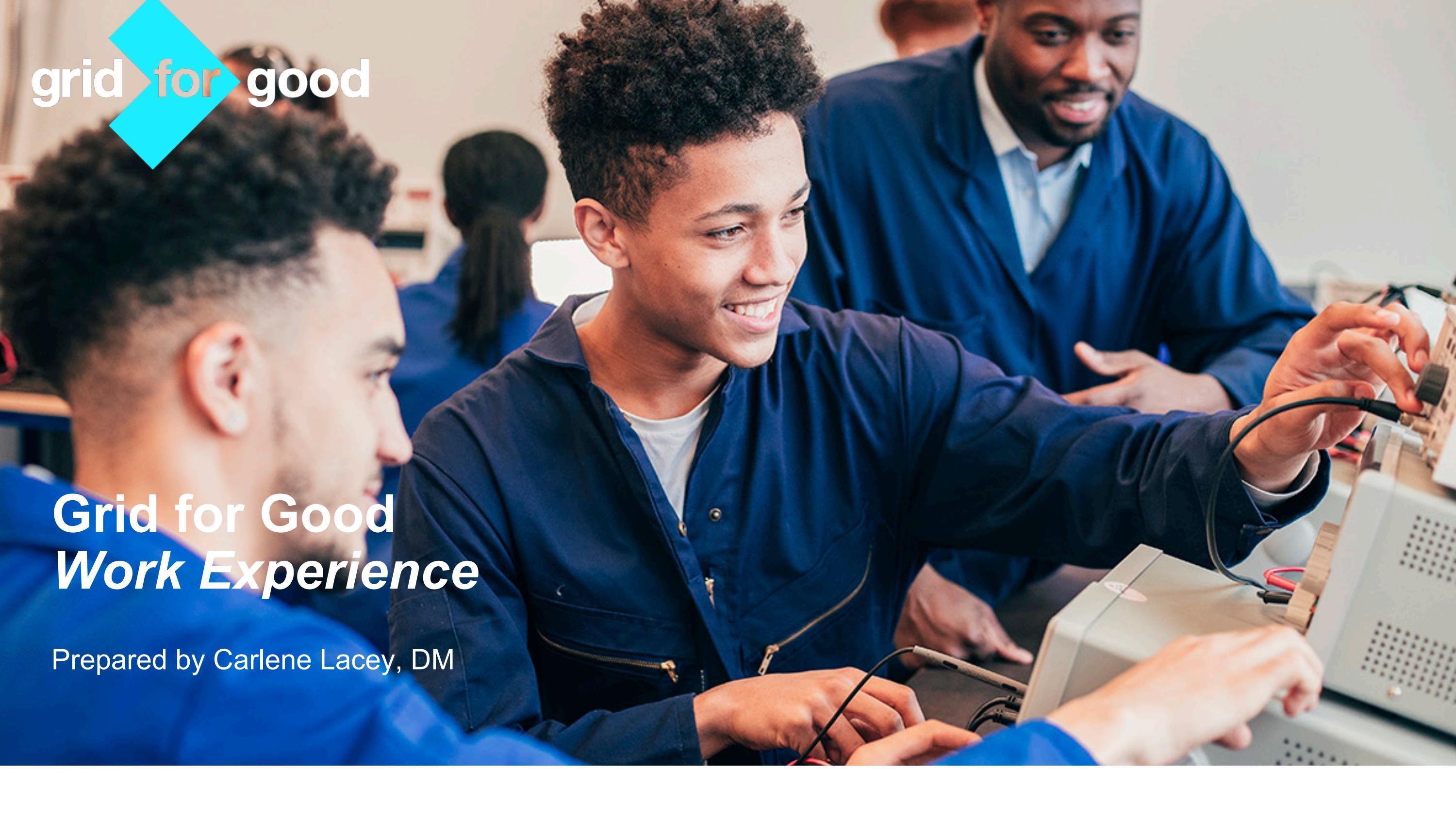 Grid for Good Work Experience Overview by 45toLife - Issuu