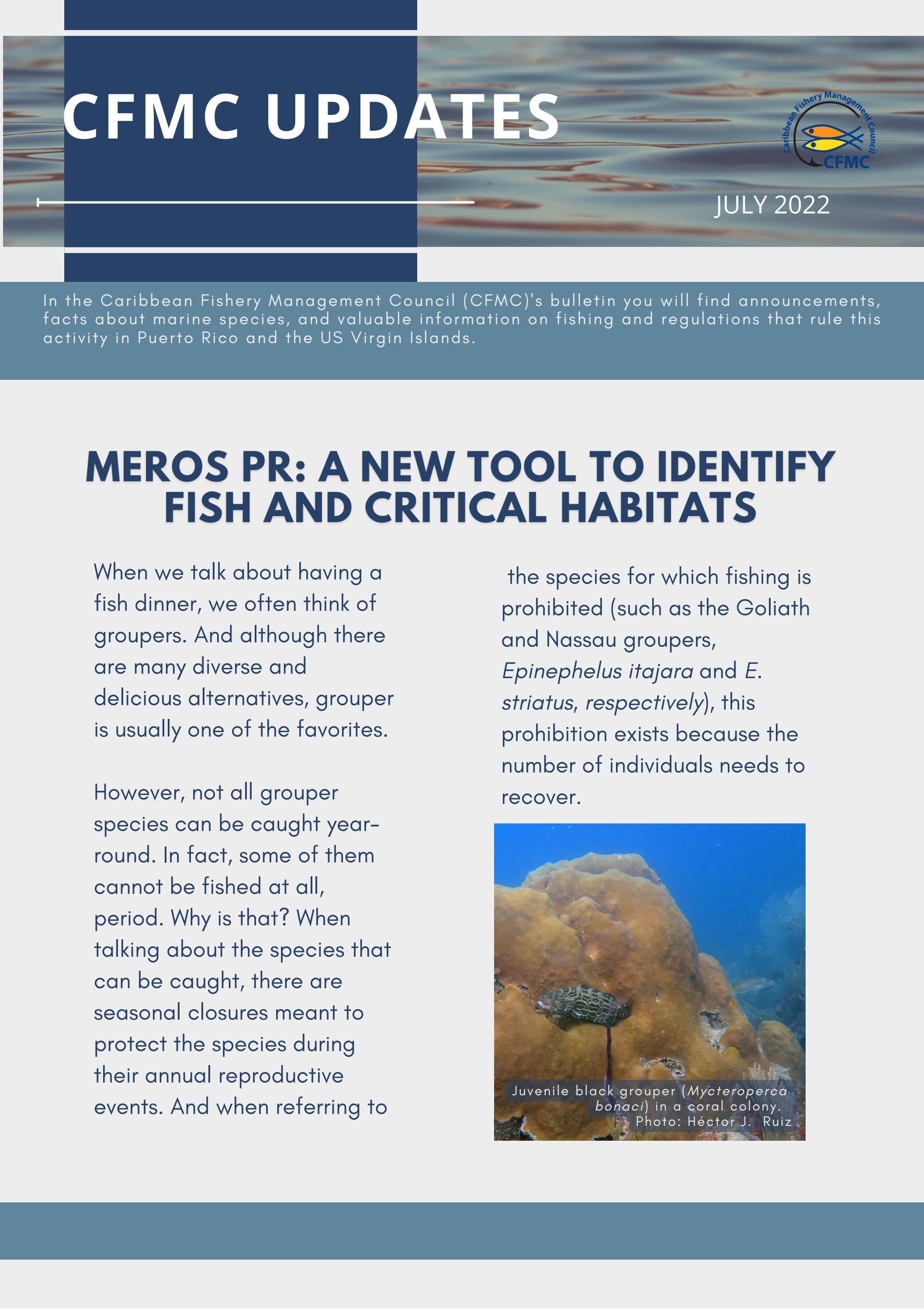 CFMC Updates (July 2022) by Caribbean Fishery Management Council - Issuu