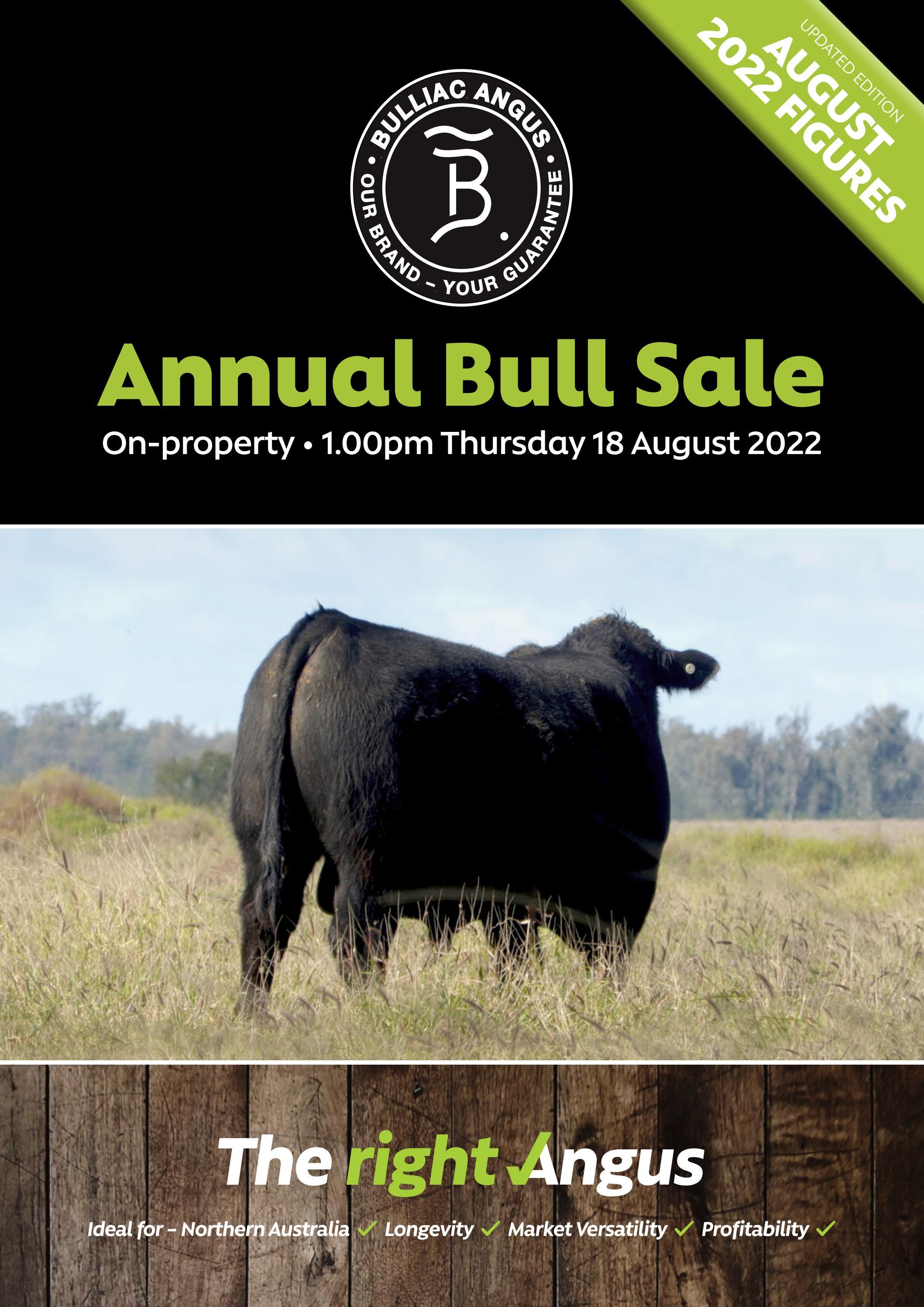 Bulliac Angus 2022 Sale Catalogue by MeganScrivenerDesign - Issuu