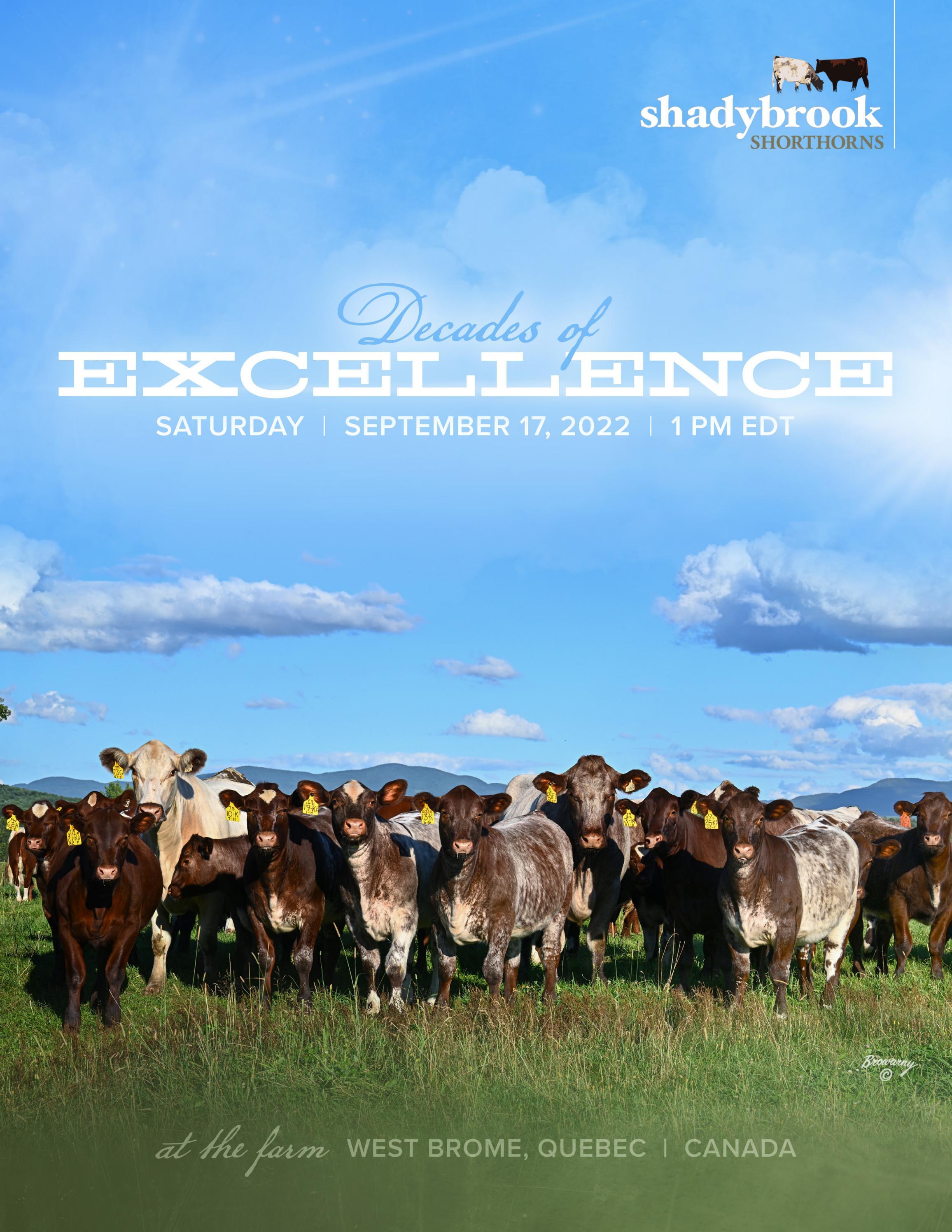 Shadybrook 2022 Decades of Excellence Production Sale by Catalogs by ...