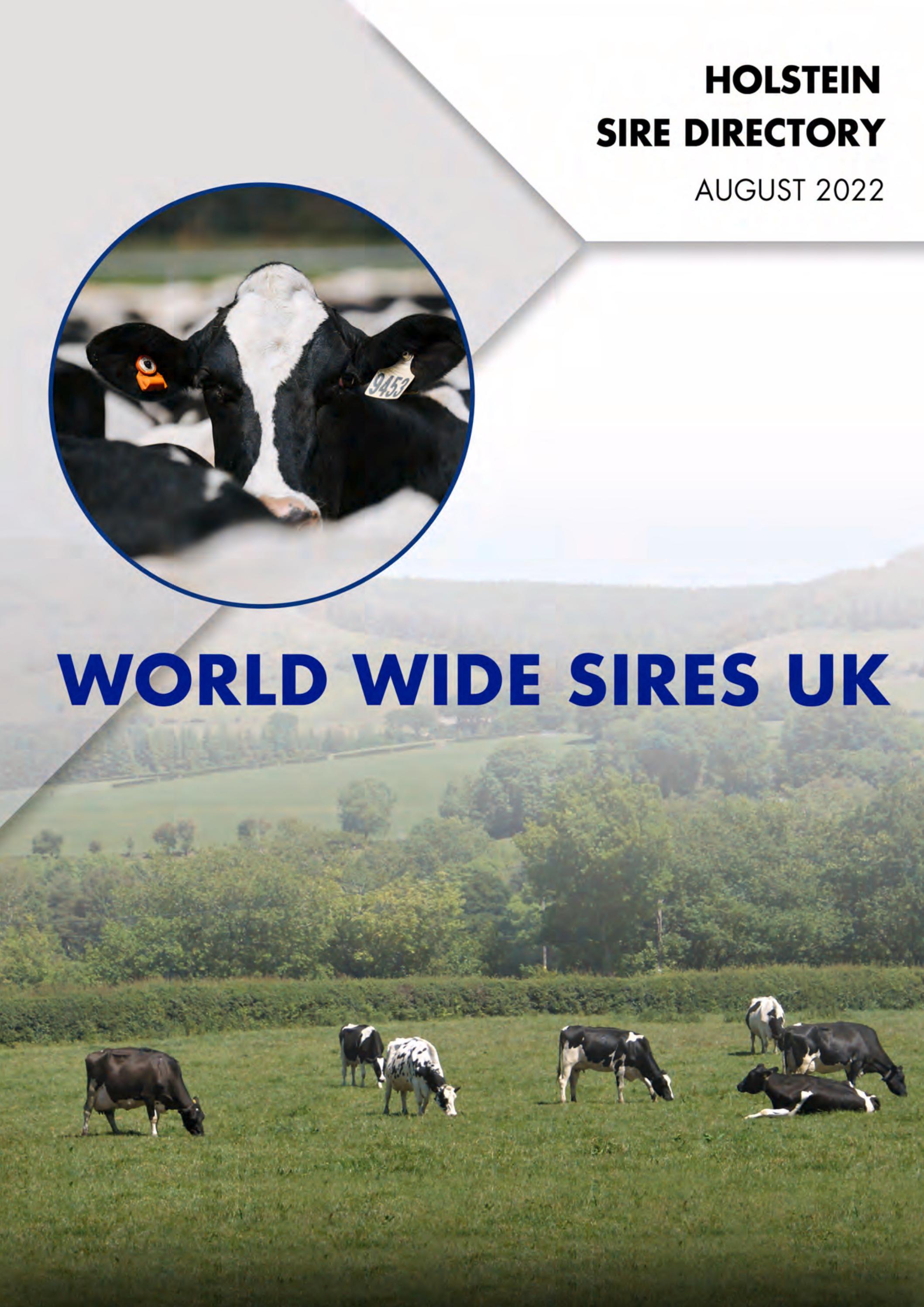World Wide Sires UK August 2022 Holstein Sire Directory by Melanie ...