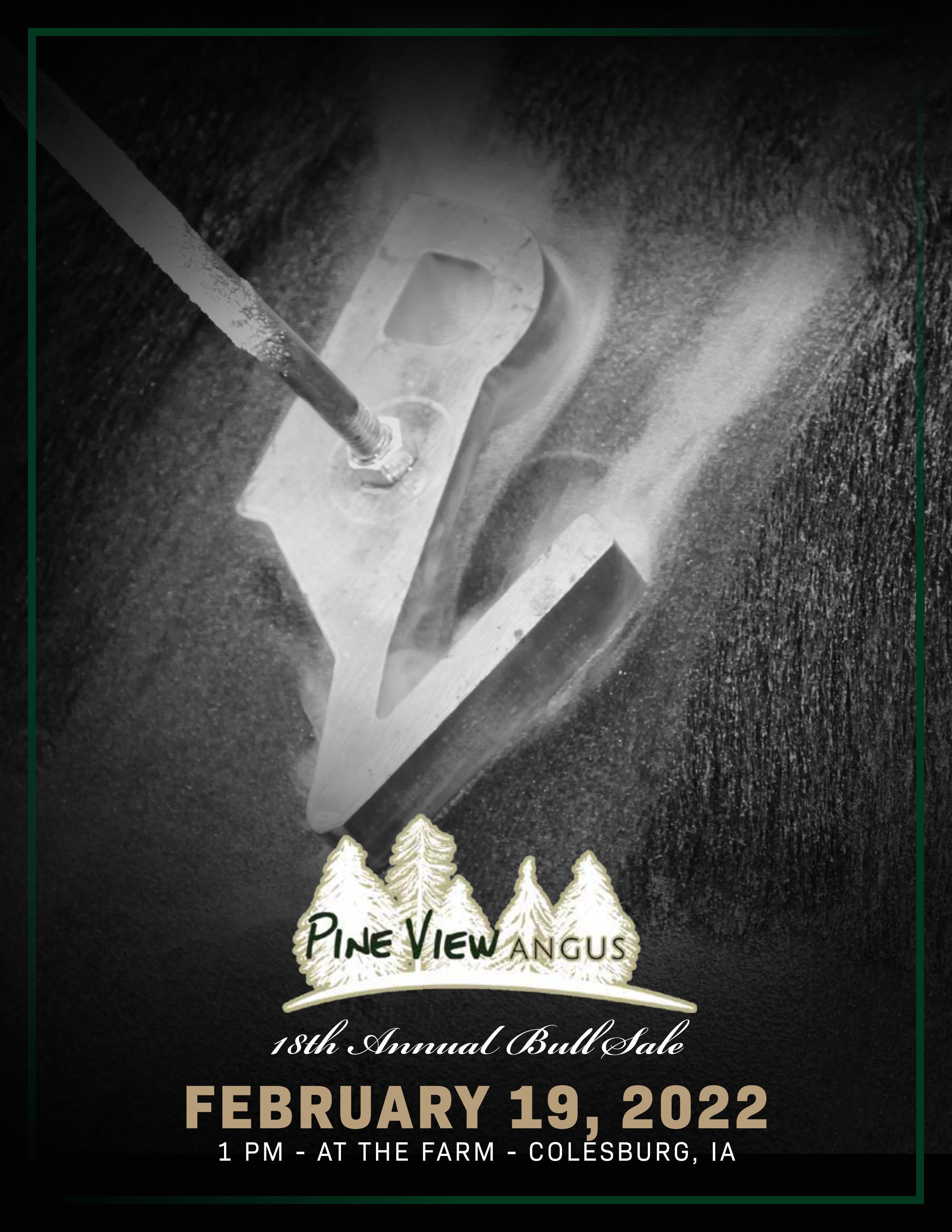 2022 - Pine View Angus Annual Bull Sale by Honor Ag Branding - Issuu