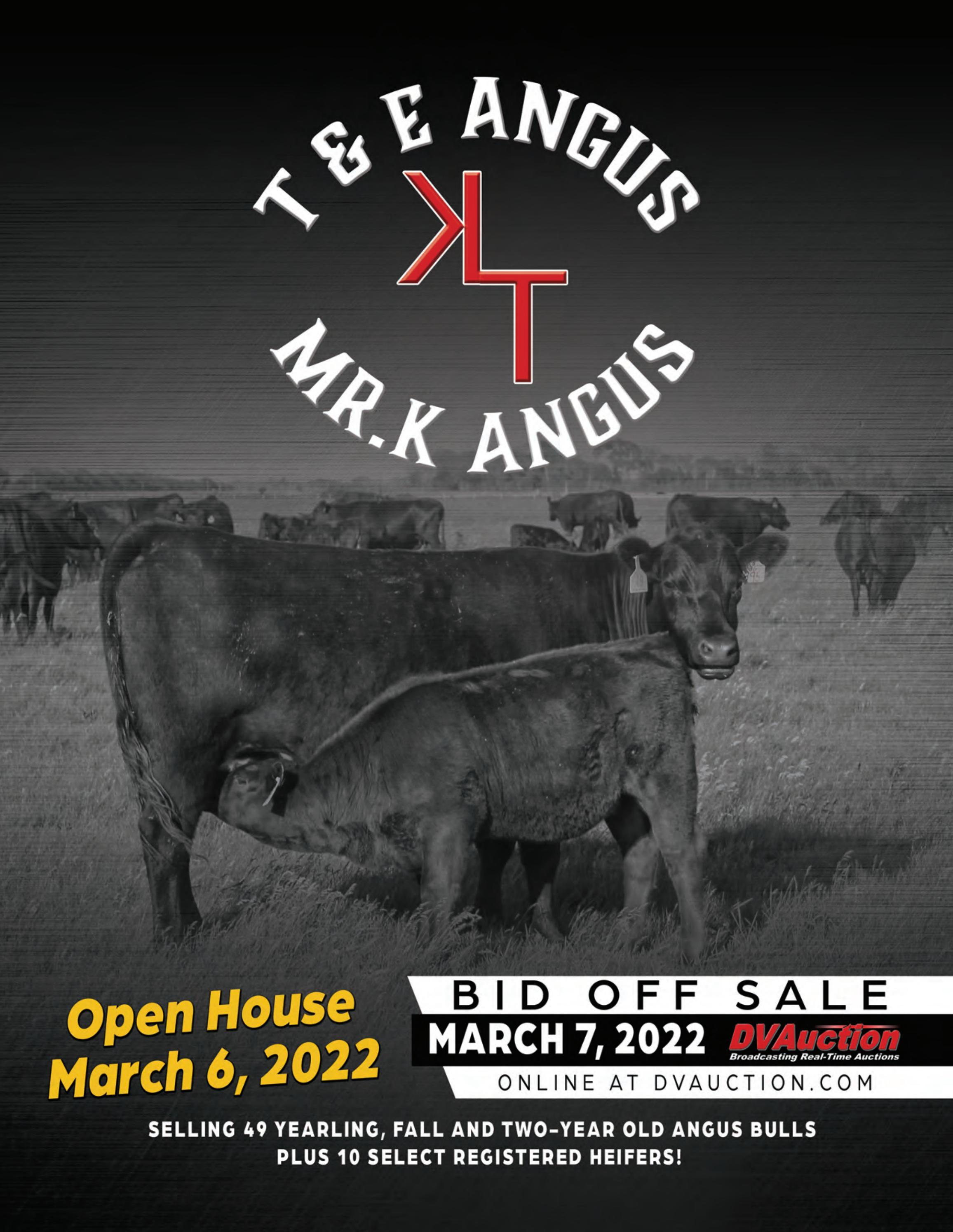 2022 - T&E and Mr. T Angus Bull Sale by Honor Ag Branding - Issuu