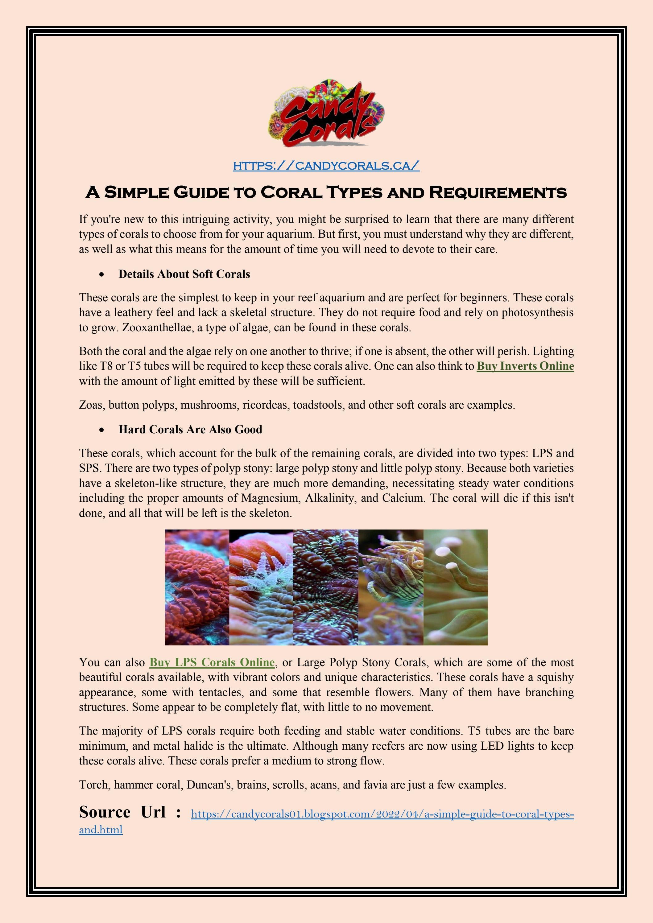 A Simple Guide to Coral Types and Requirements by Candy Corals - Issuu