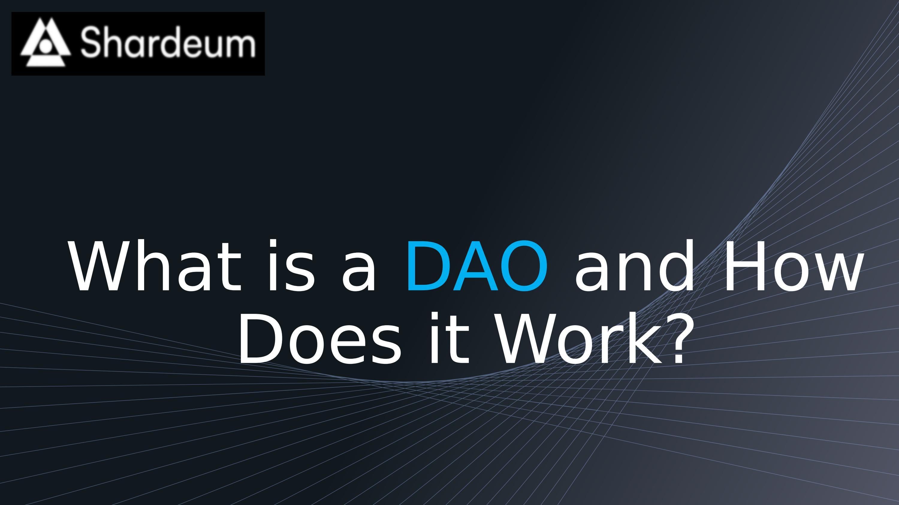 What is a DAO & Types of Decentralized Autonomous Organizations by ...