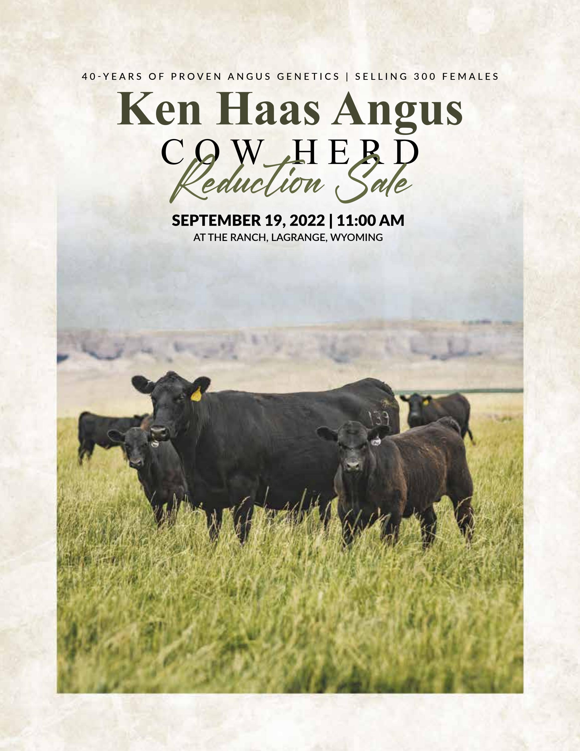 Ken Haas Angus Cow Herd Reduction Sale - 2022 by Generation 6 Marketing ...