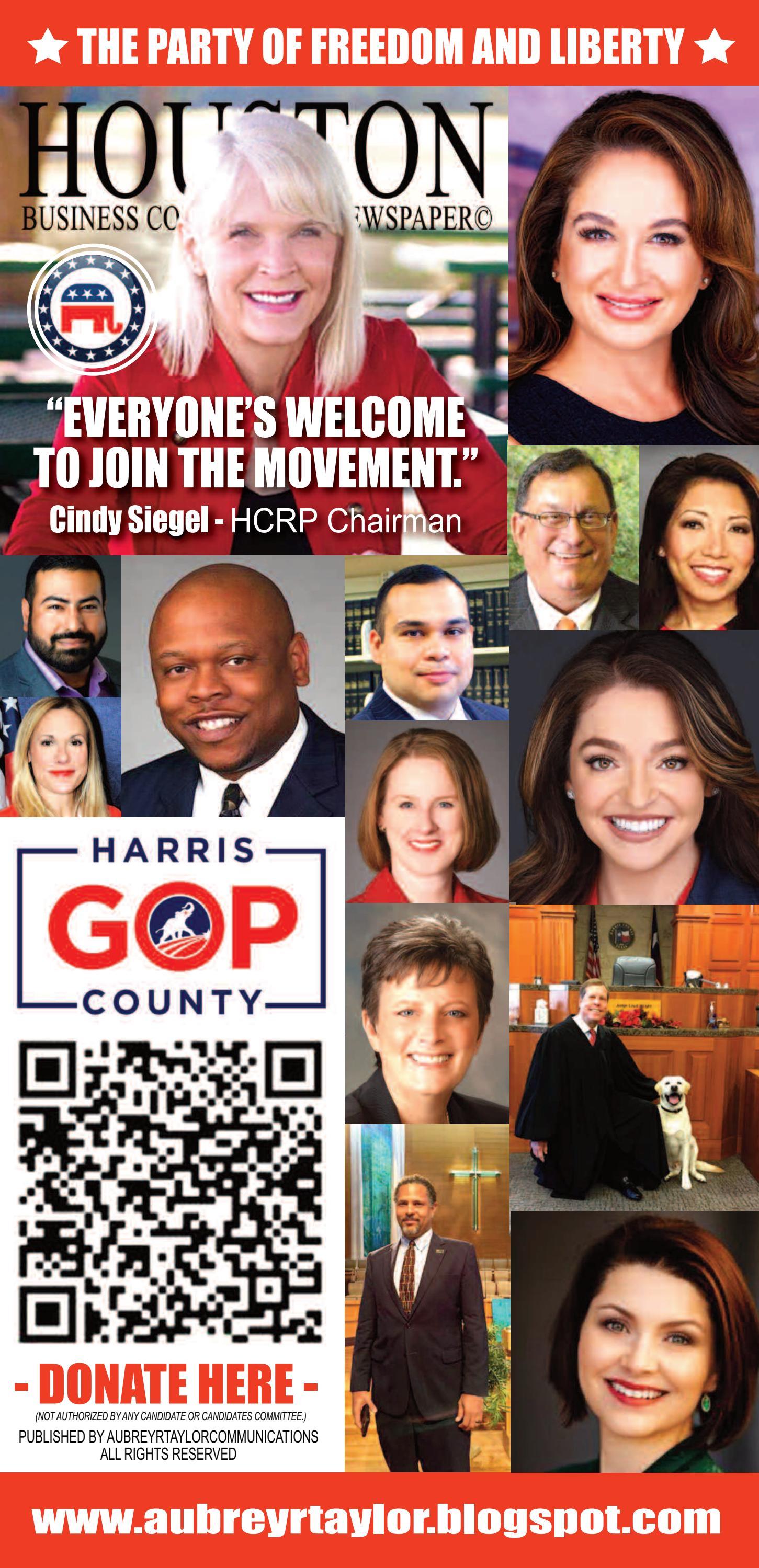 Meet the 2022 Midterm Election Judicial Nominees for the Harris County ...