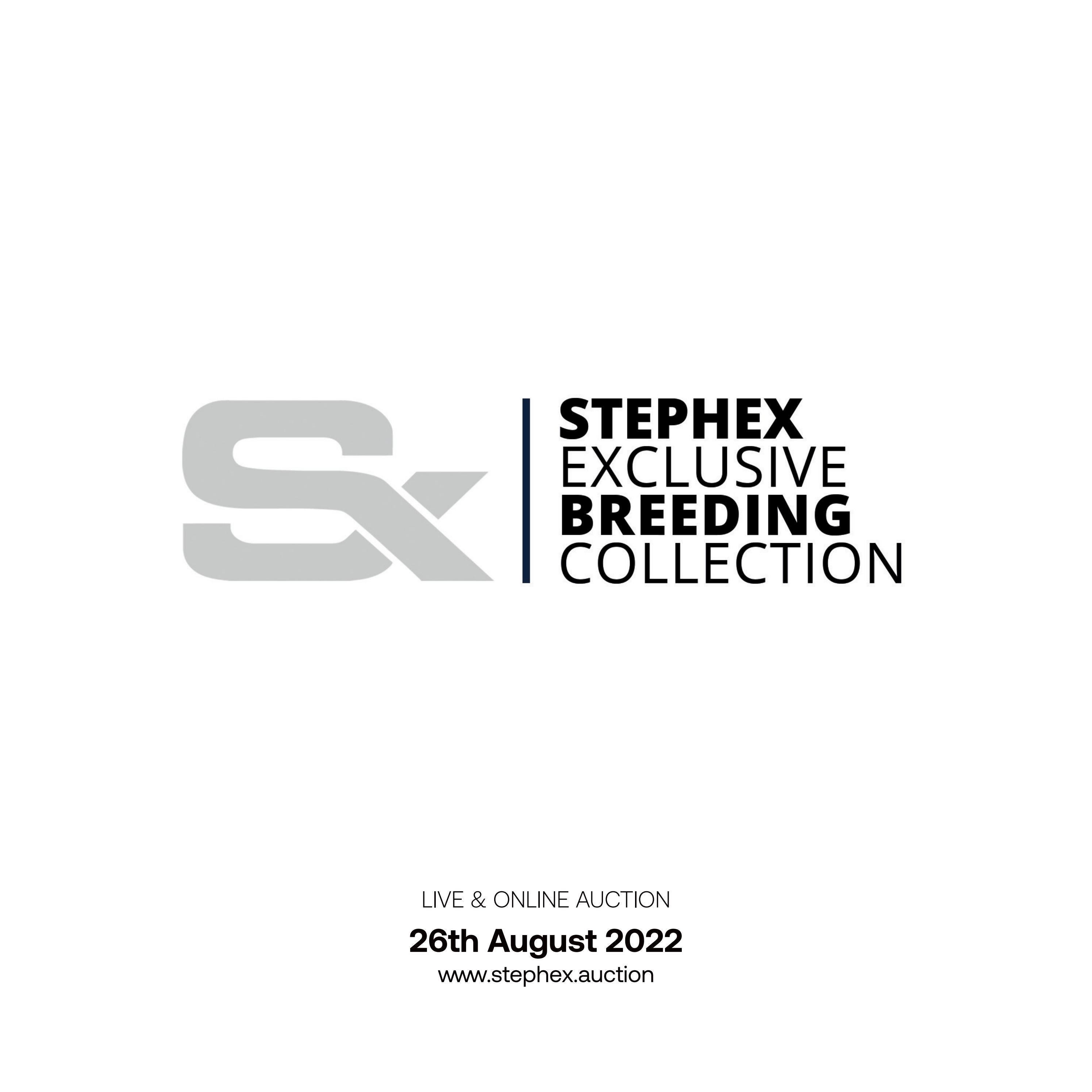 Stephex Exclusive Breeding Collection 2022 by Stephex - Issuu