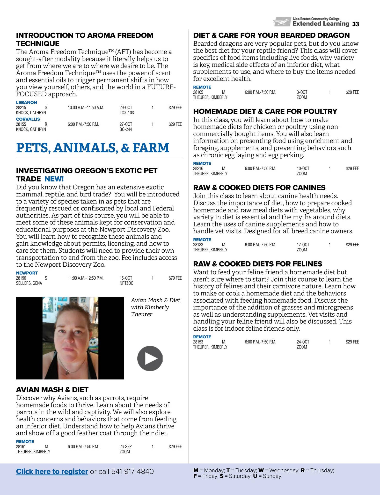 LBCC Magazine and Extended Learning Class Schedule by Extended Learning ...