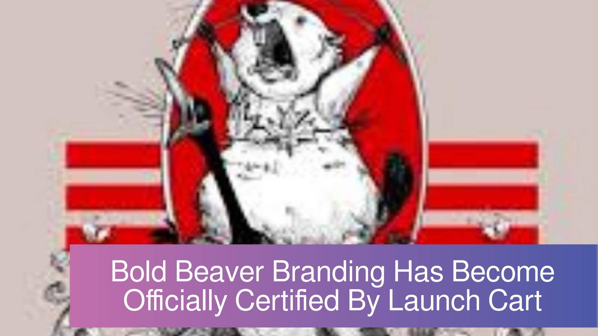 Bold Beaver Branding Has Become Officially Certified By Launch Cart by ...