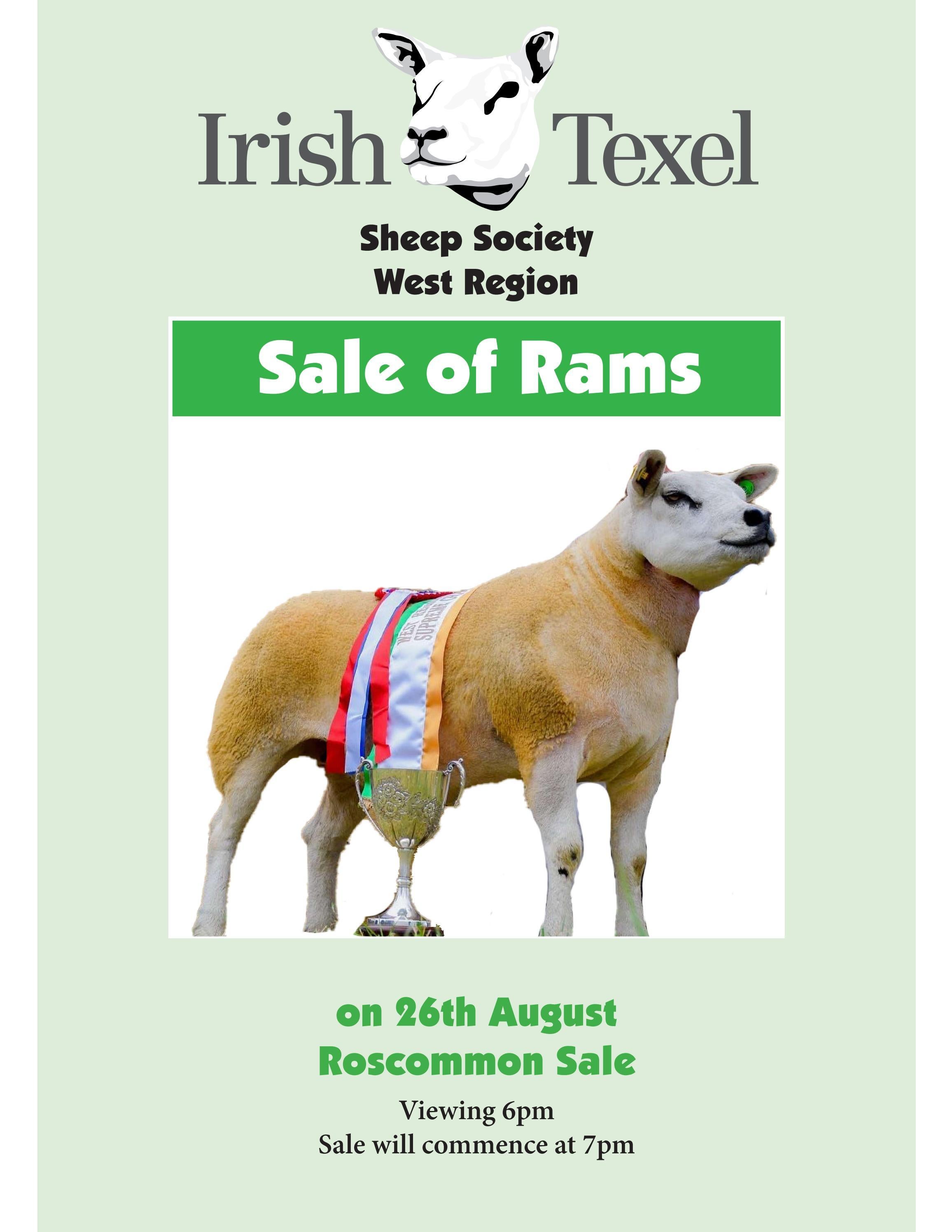Roscommon Texel Ram Sale 26th August 7pm by Irish Texel Sheep Society ...
