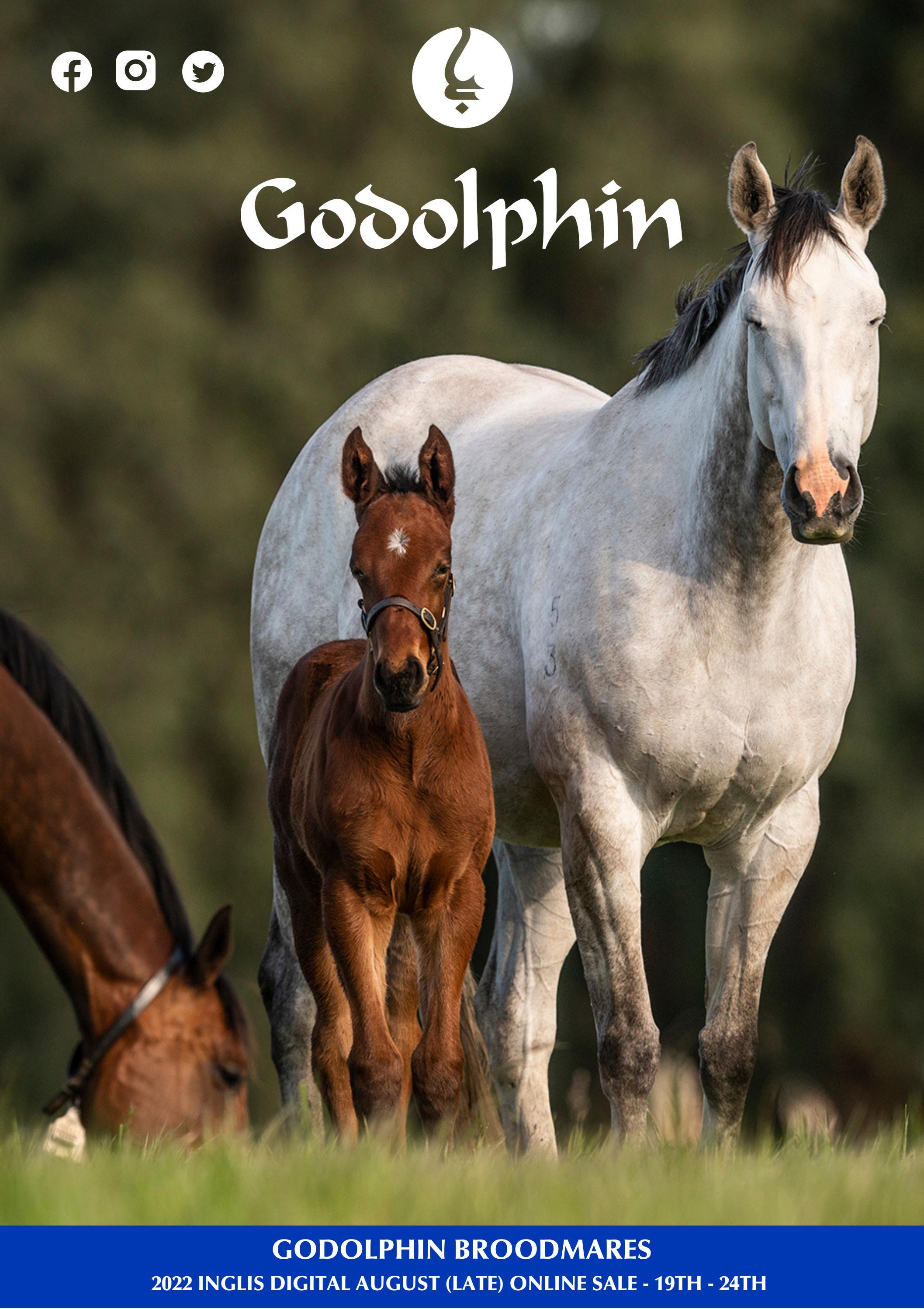 Godolphin Broodmare Sale Booklet - 2022 AUG (Late) by Inglis - Issuu