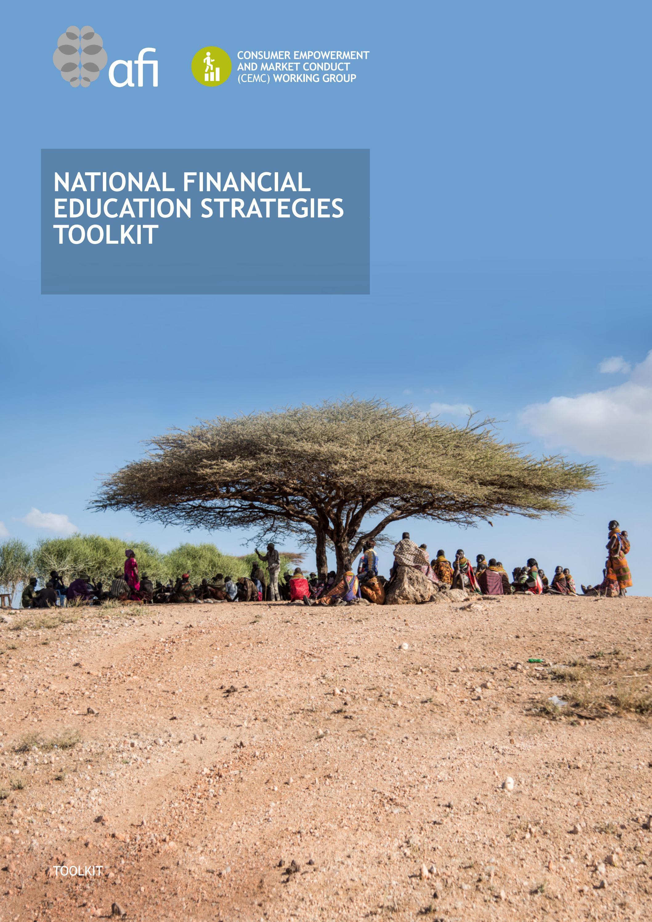 National Financial Education Strategies Toolkit by Alliance for ...