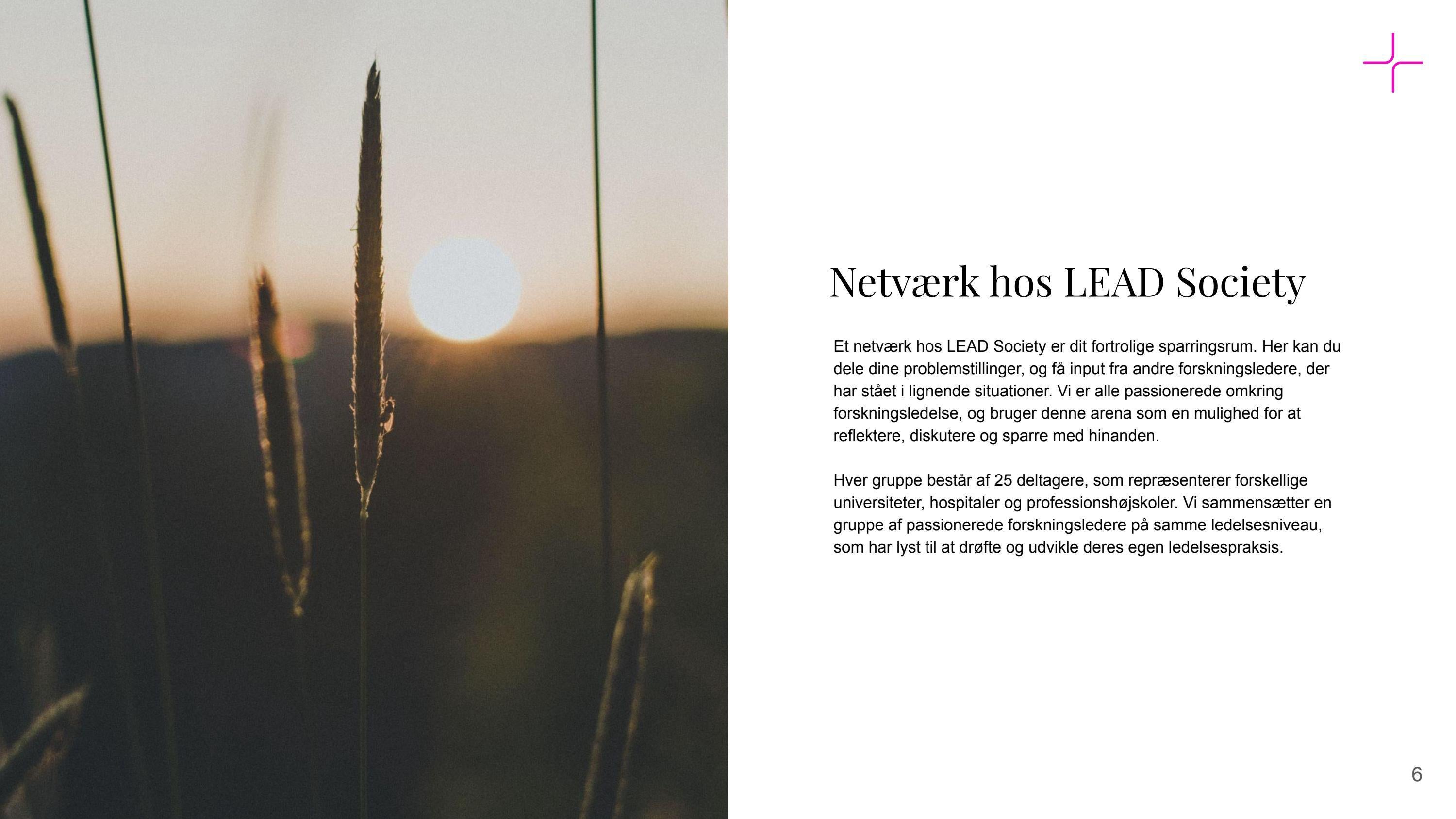 Strategisk Ledelse af Forskningsmiljøer by leadsociety - Issuu