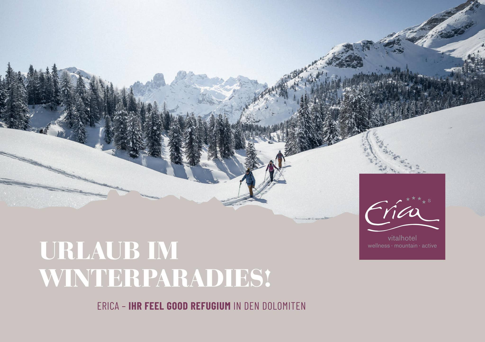 Hotel Erica - Winter DE by Zeppelin Hotel Tech - Issuu