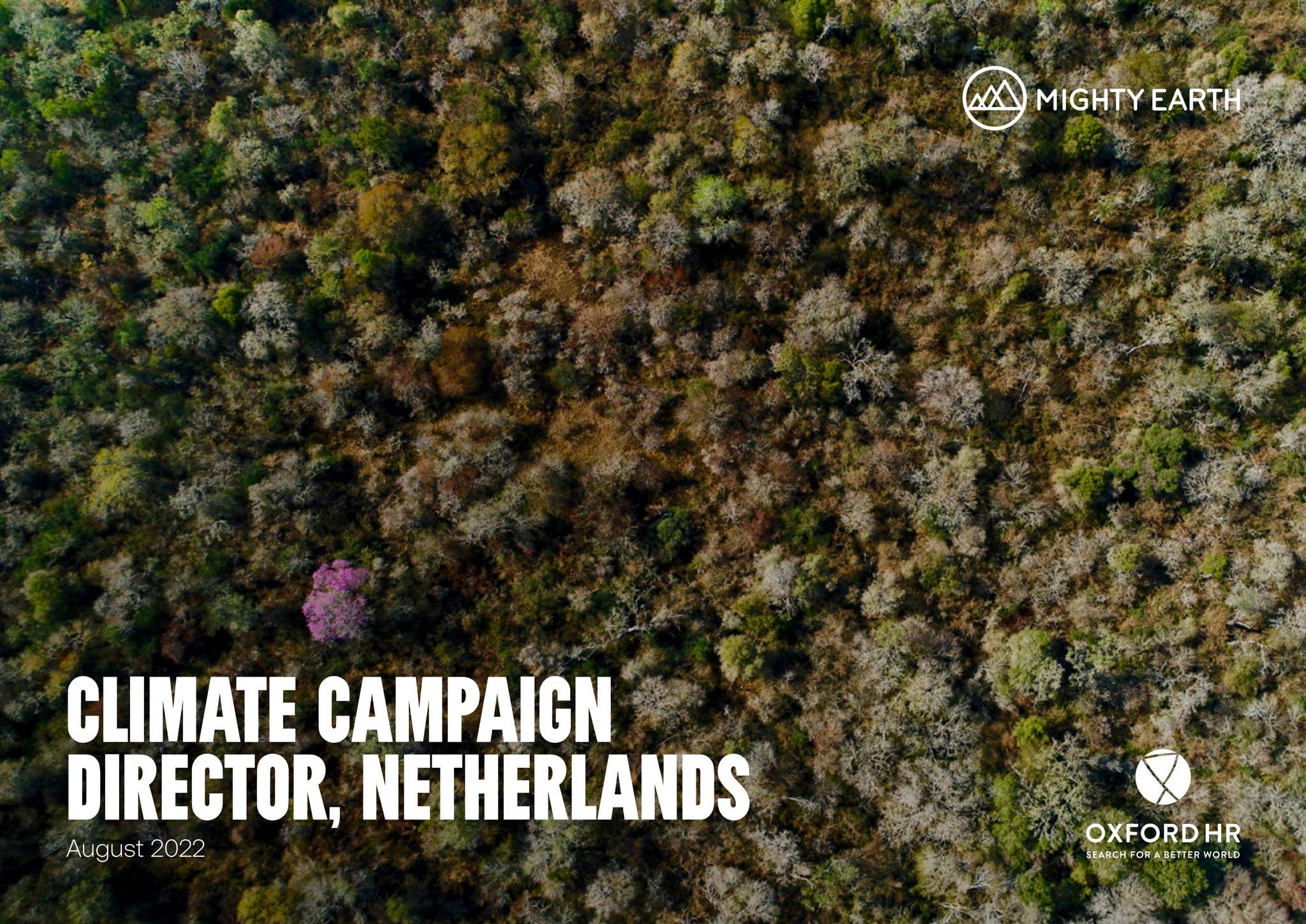 Mighty Earth - Climate Campaign Director, Netherlands by Oxford HR - Issuu