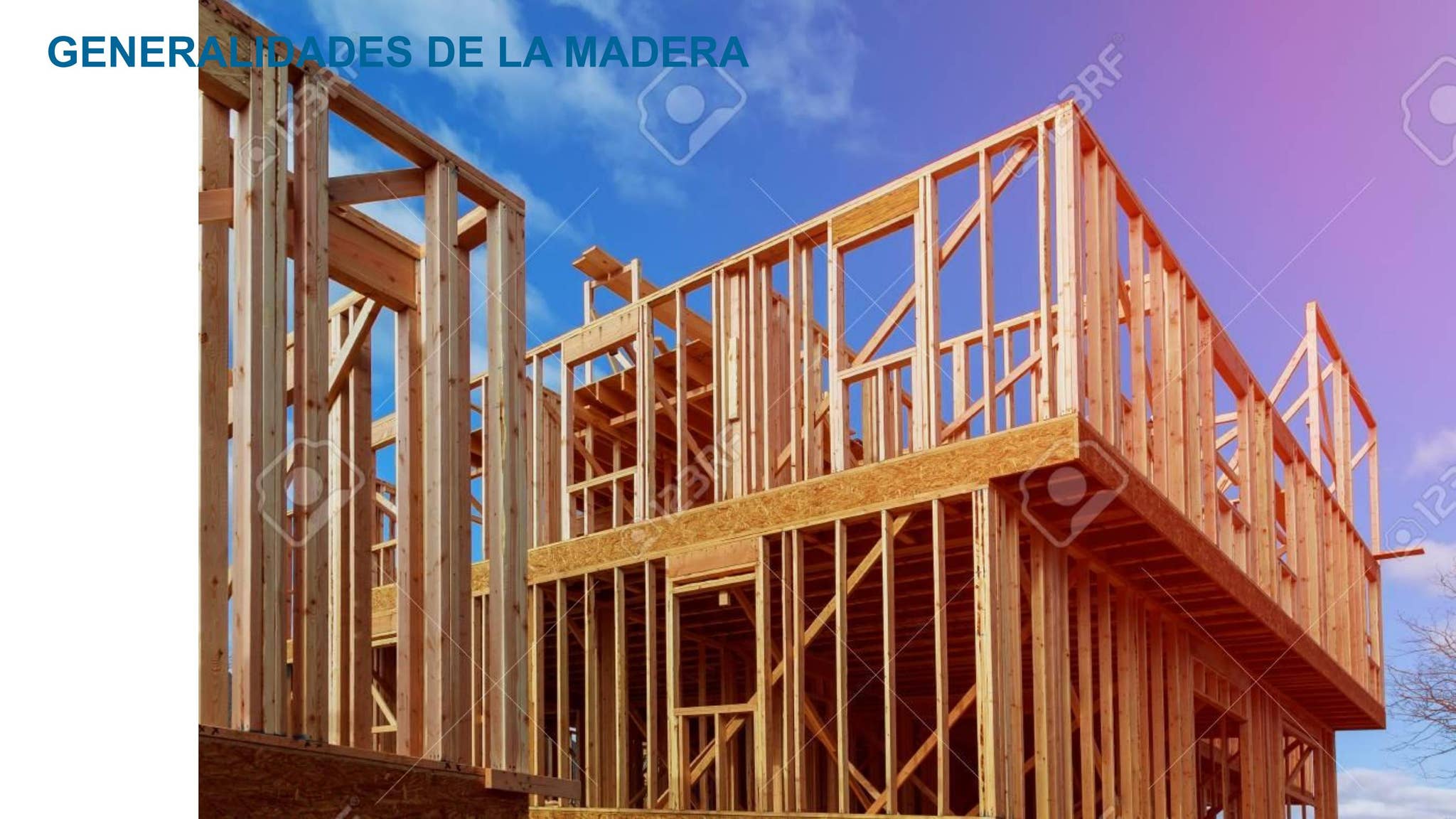 003 GENERALIDADES DE LA MADERA - SISTEMAS CONSTRUCTIVOS 4 2C2022 by Arq ...