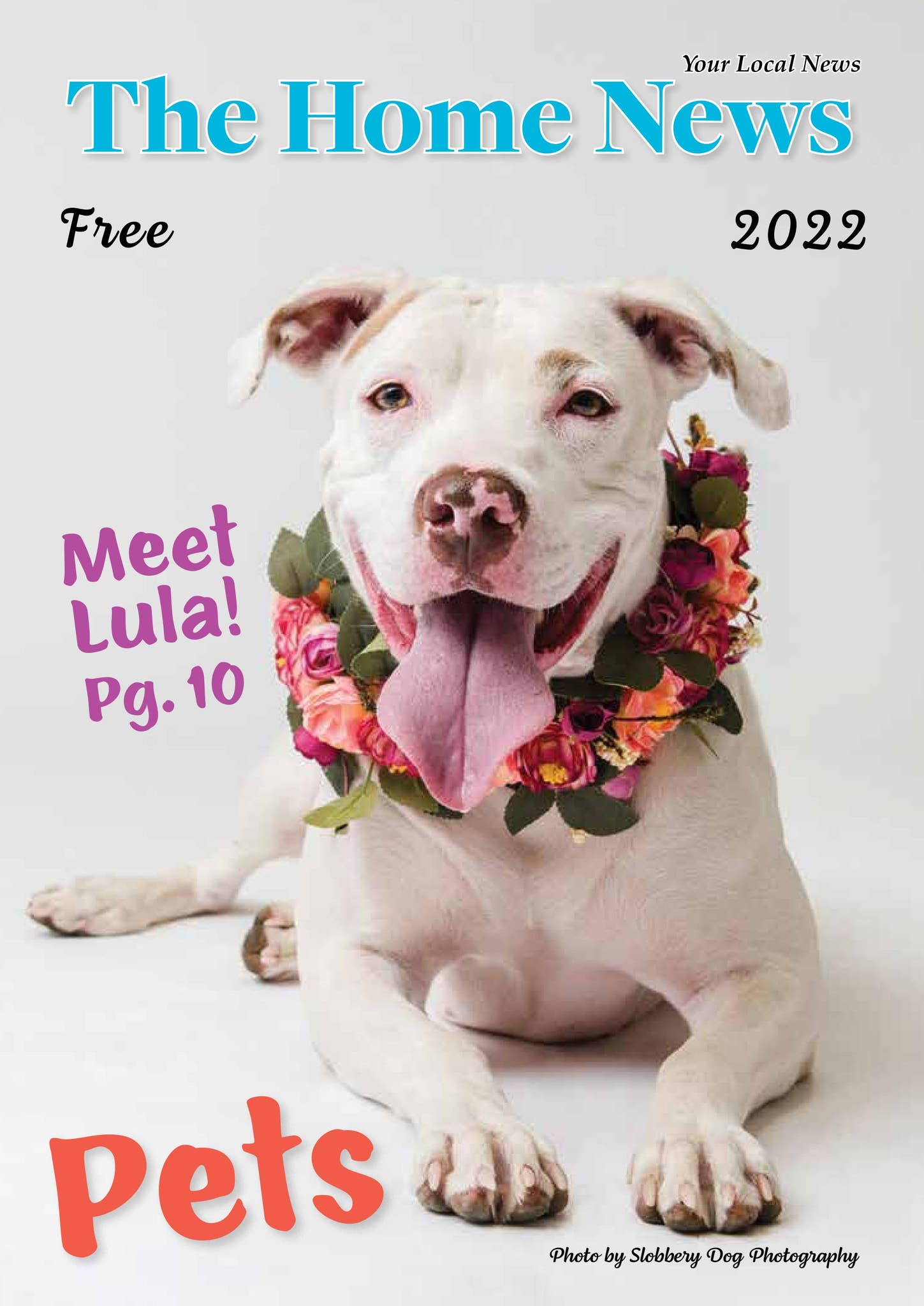 The Home News Pets - 2022 by Innovative Designs & Publishing, Inc. - Issuu
