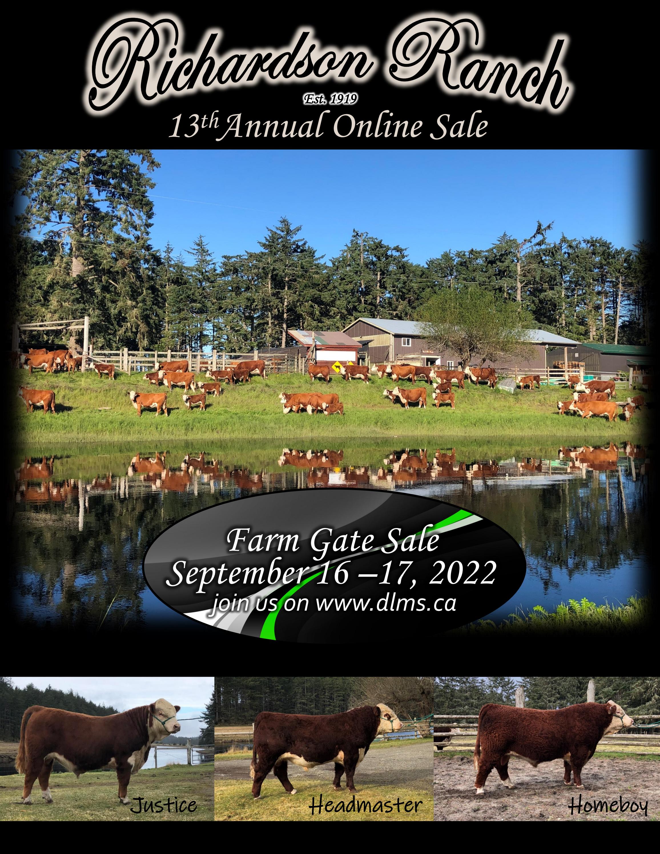 Richardson Ranch 13th Annual Online Sale by Don Richardson - Issuu