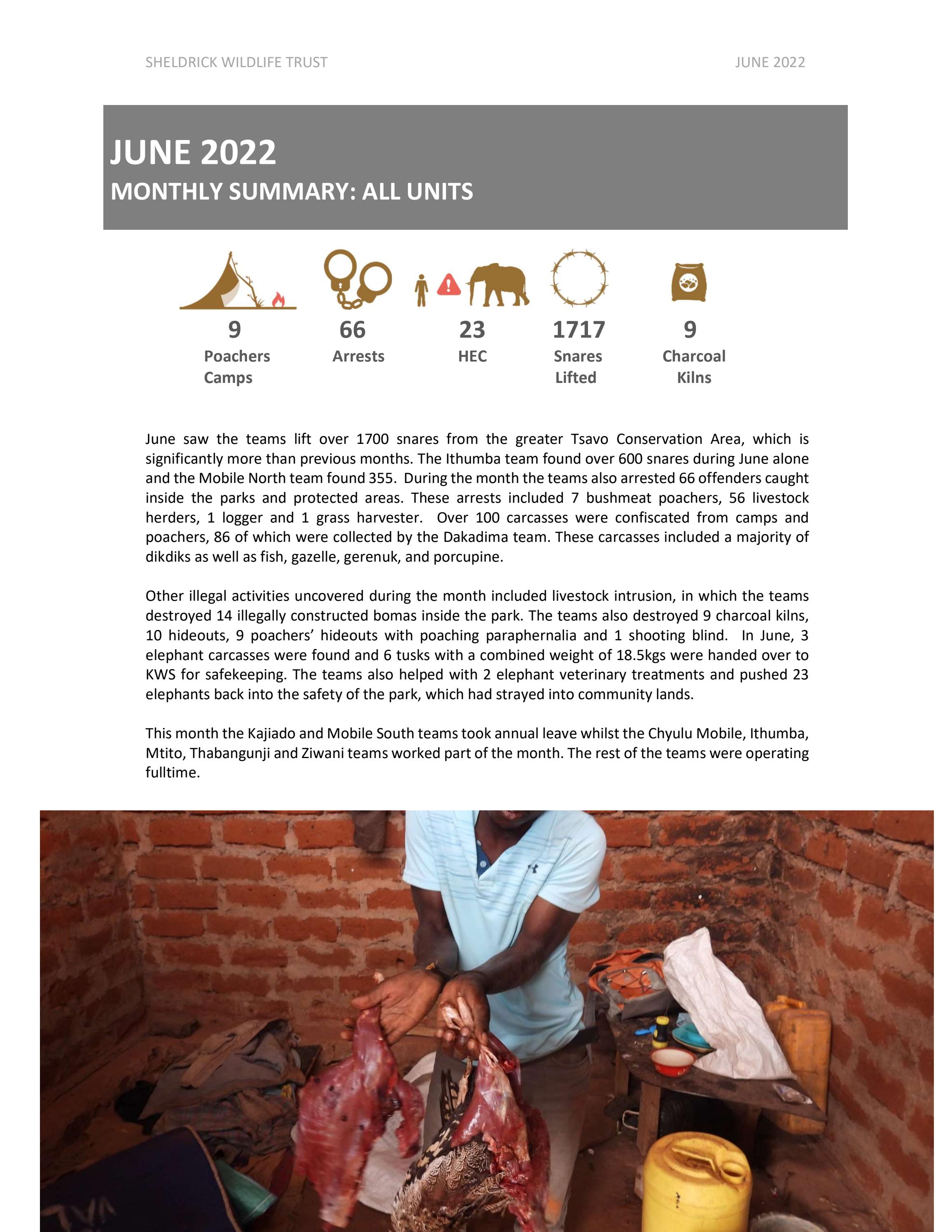SWT/KWS Ithumba De-Snaring Report for June 2022 by Sheldrick Wildlife ...