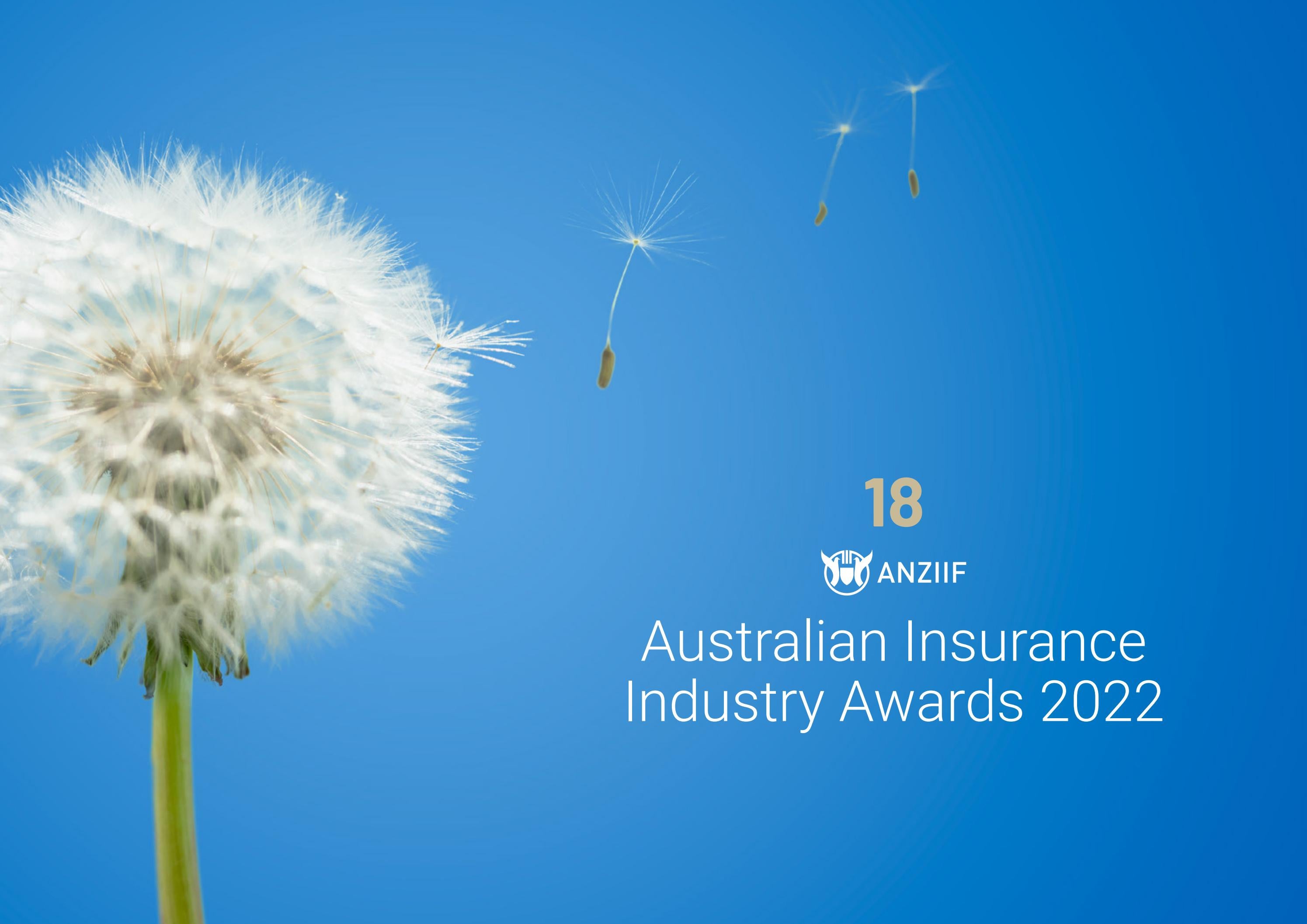 Australian Insurance Industry Awards 2022 by ANZIIF - Issuu