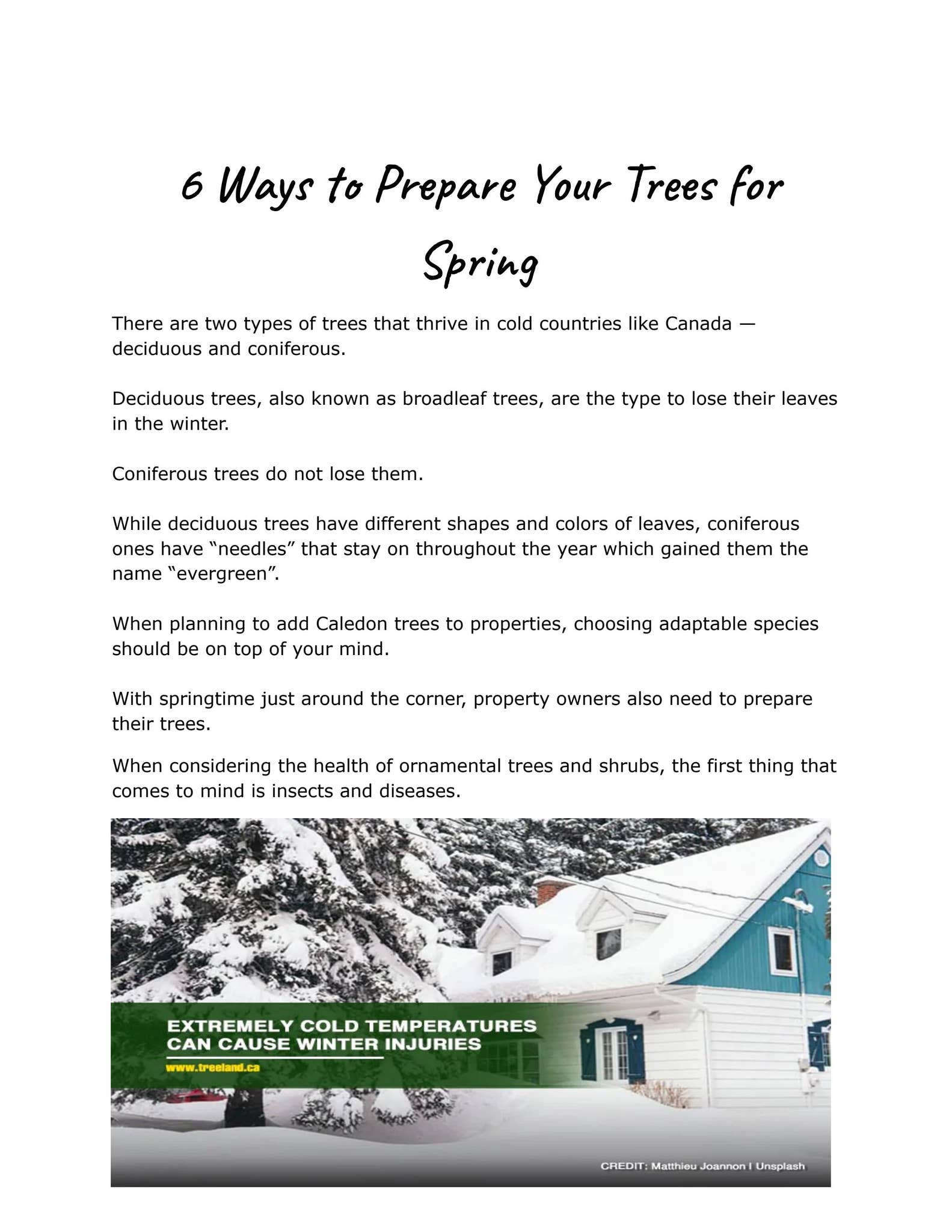 6 Ways to Prepare Your Trees for Spring by Caledon Treeland - Issuu