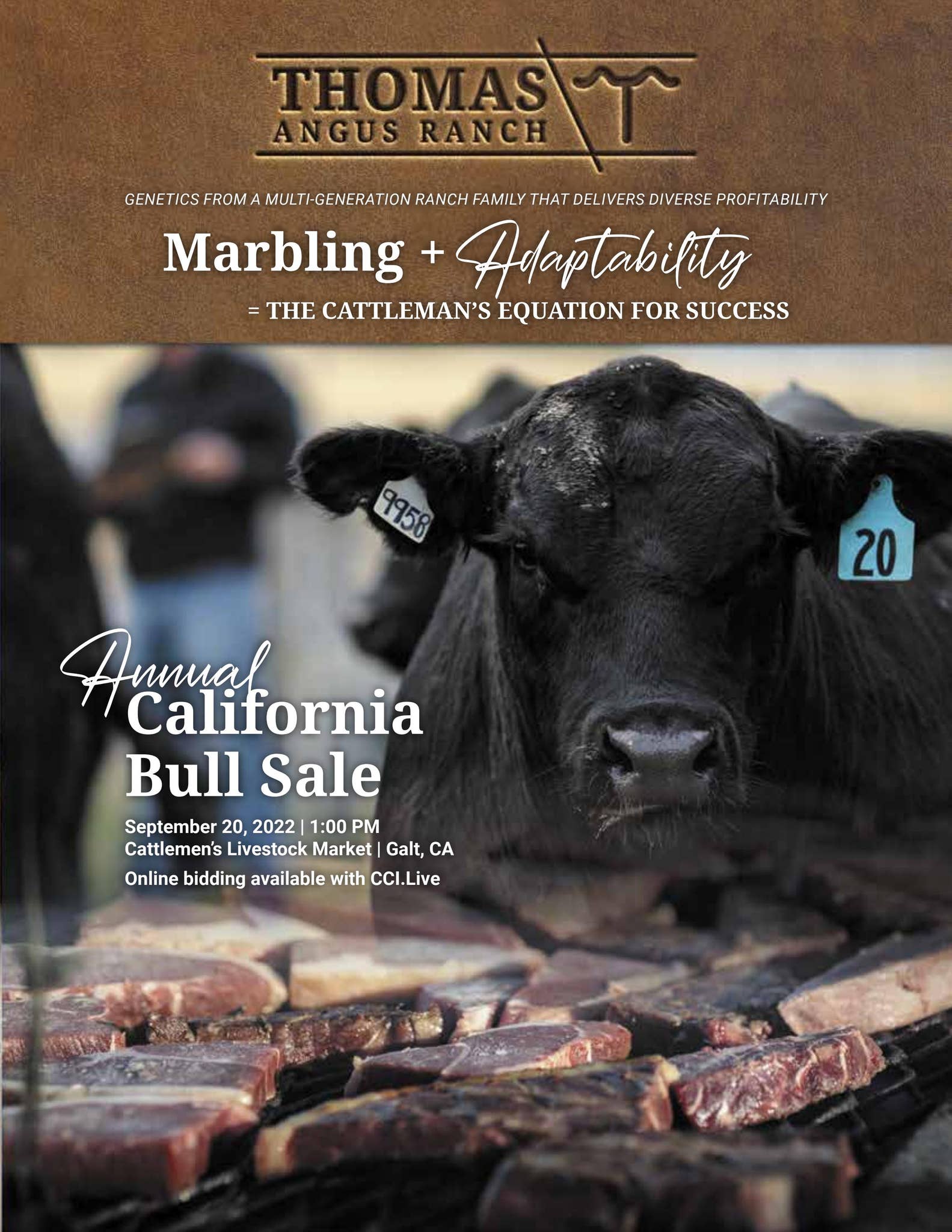 Thomas Angus Ranch California Bull Sale - 2022 by Generation 6 ...