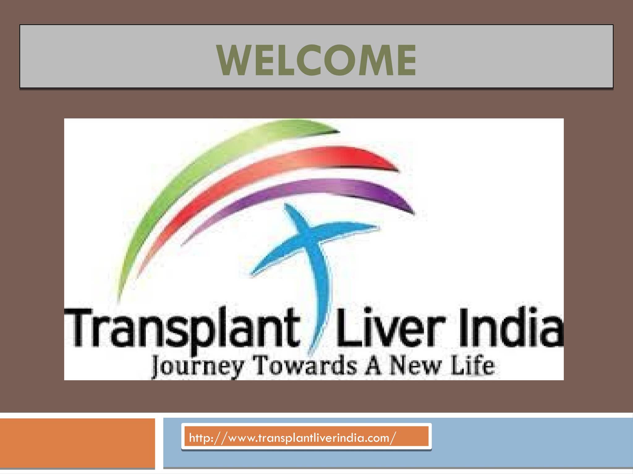 An insight into the medical conditions for which one may need a liver transplant by ...