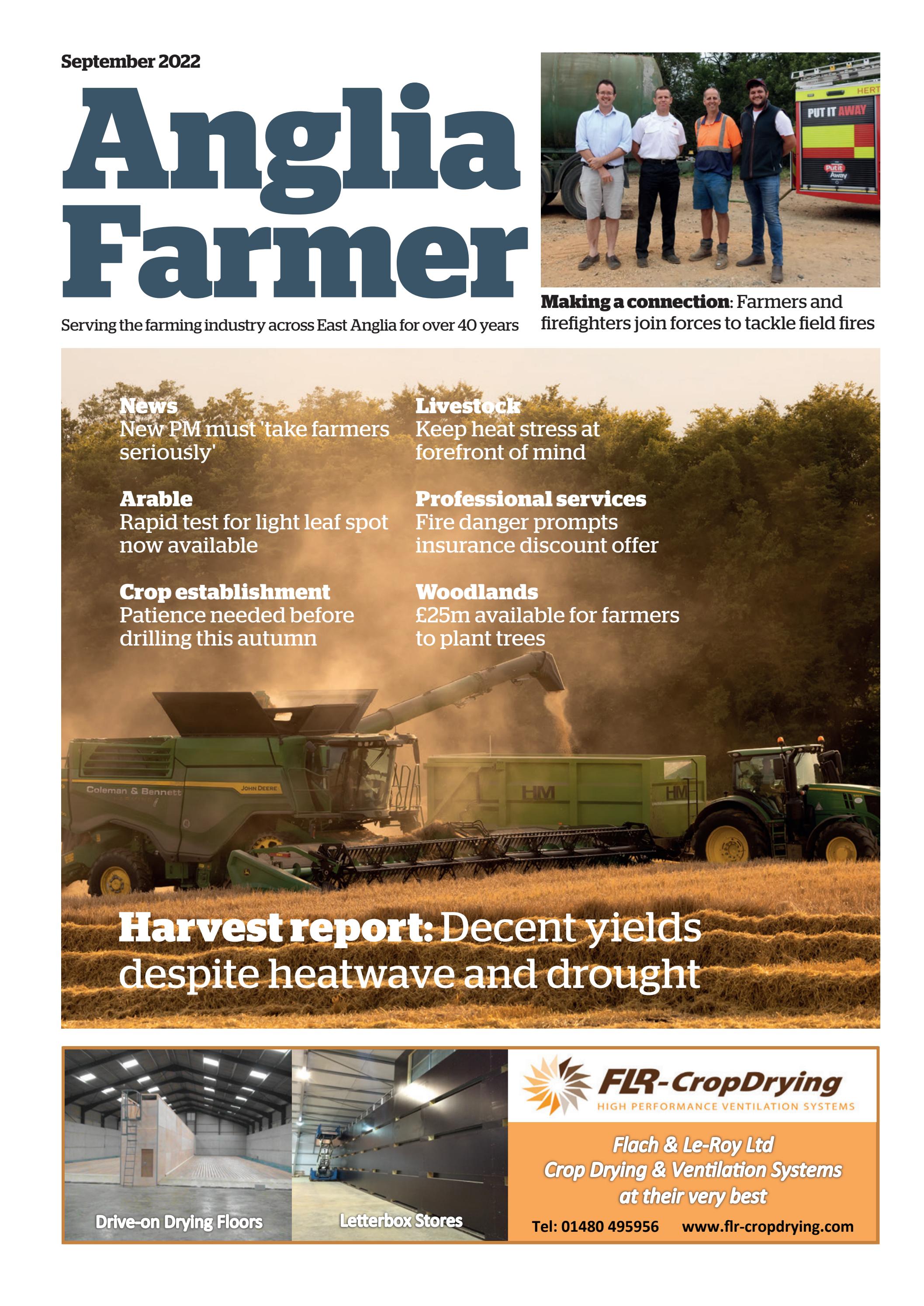 Catching Fire Chaff Poster