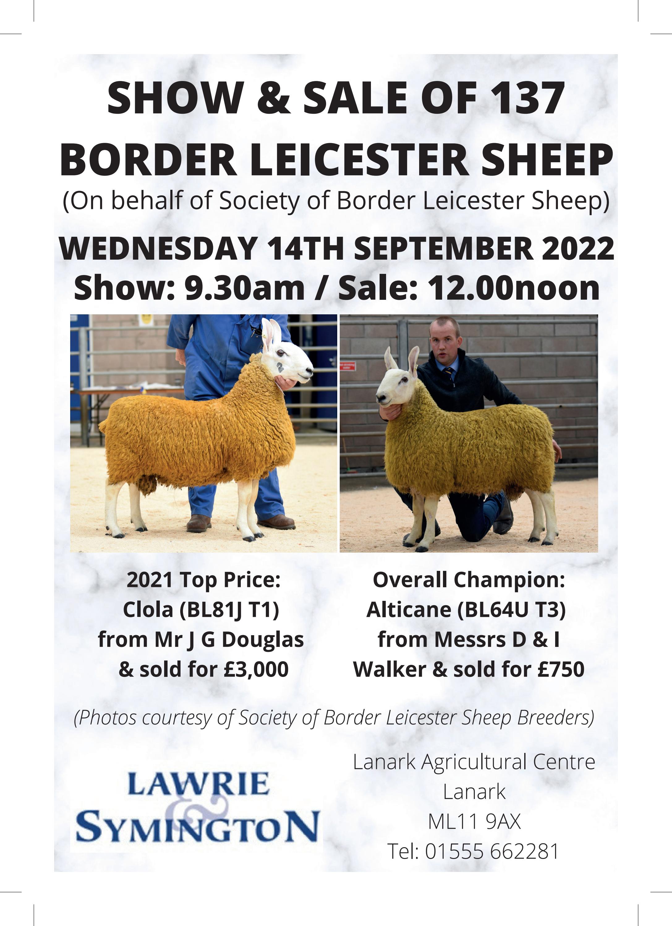 Border Leicester Catalogue - 14th September 2022 by lawrie-and ...