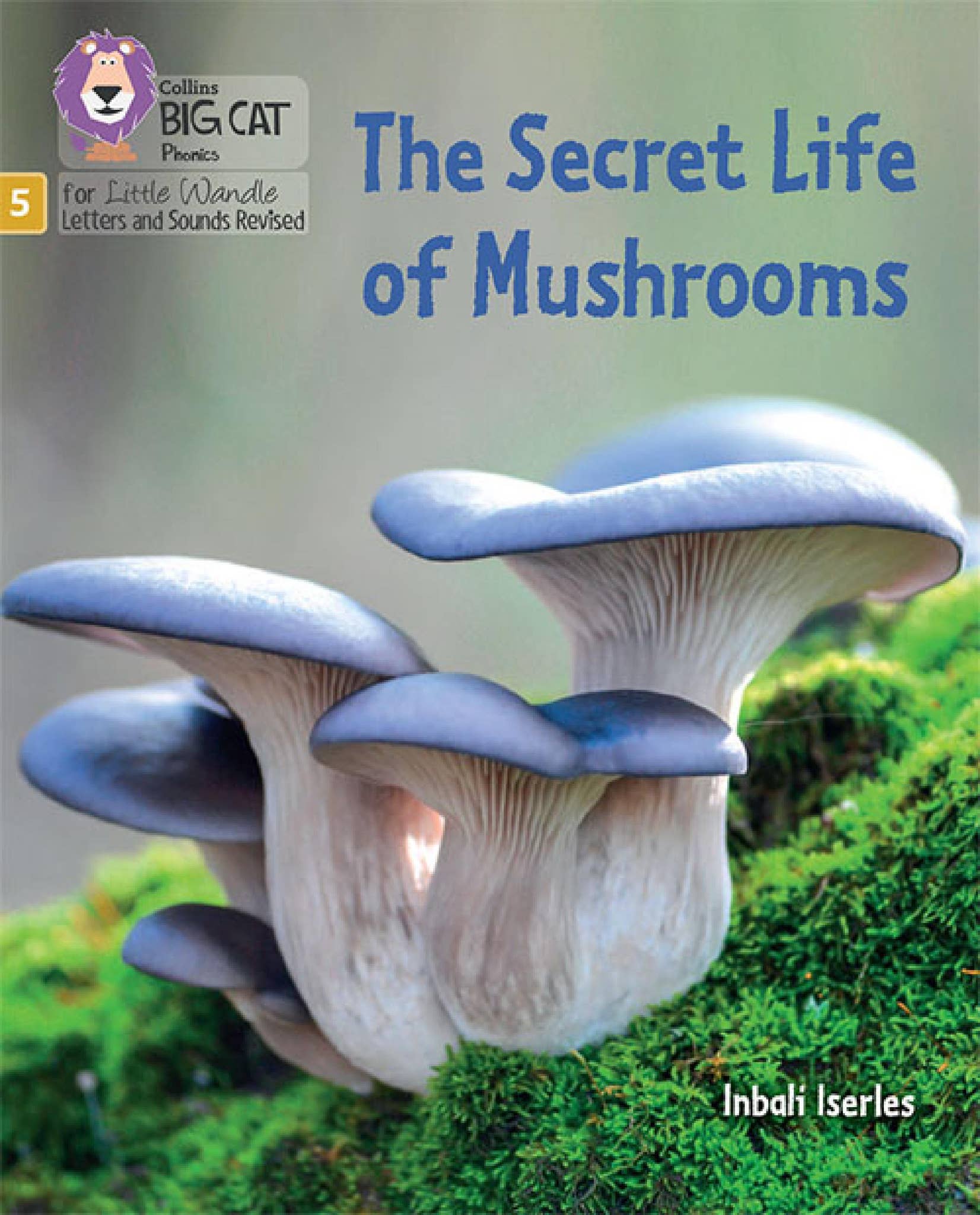 The Secret Life of Mushrooms by Collins - Issuu