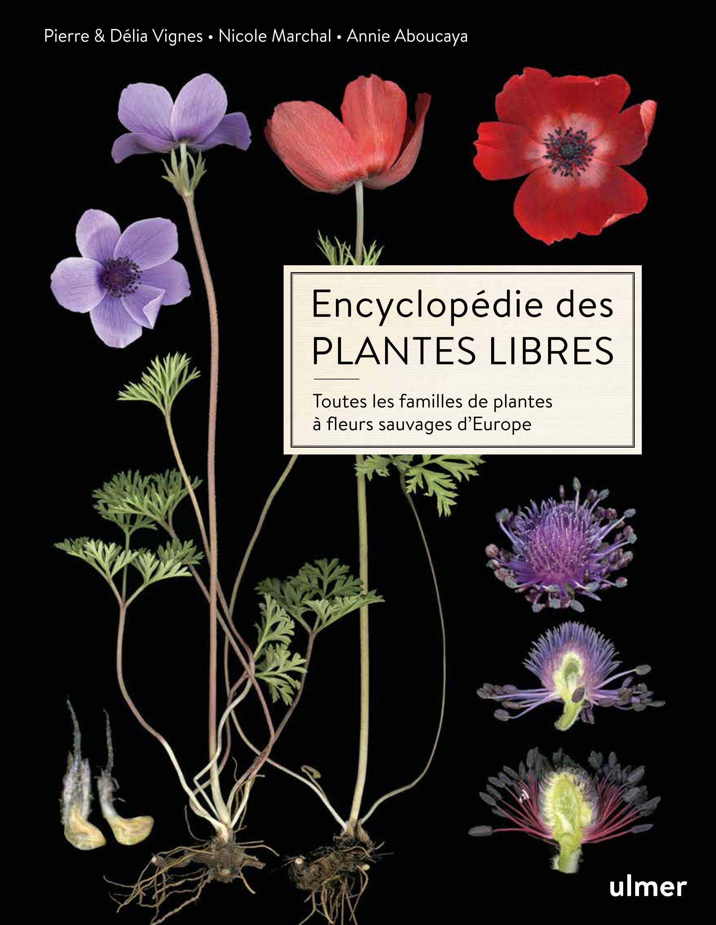 Extrait Encyclopédie des plantes libres - Éditions Ulmer by Éditions ...