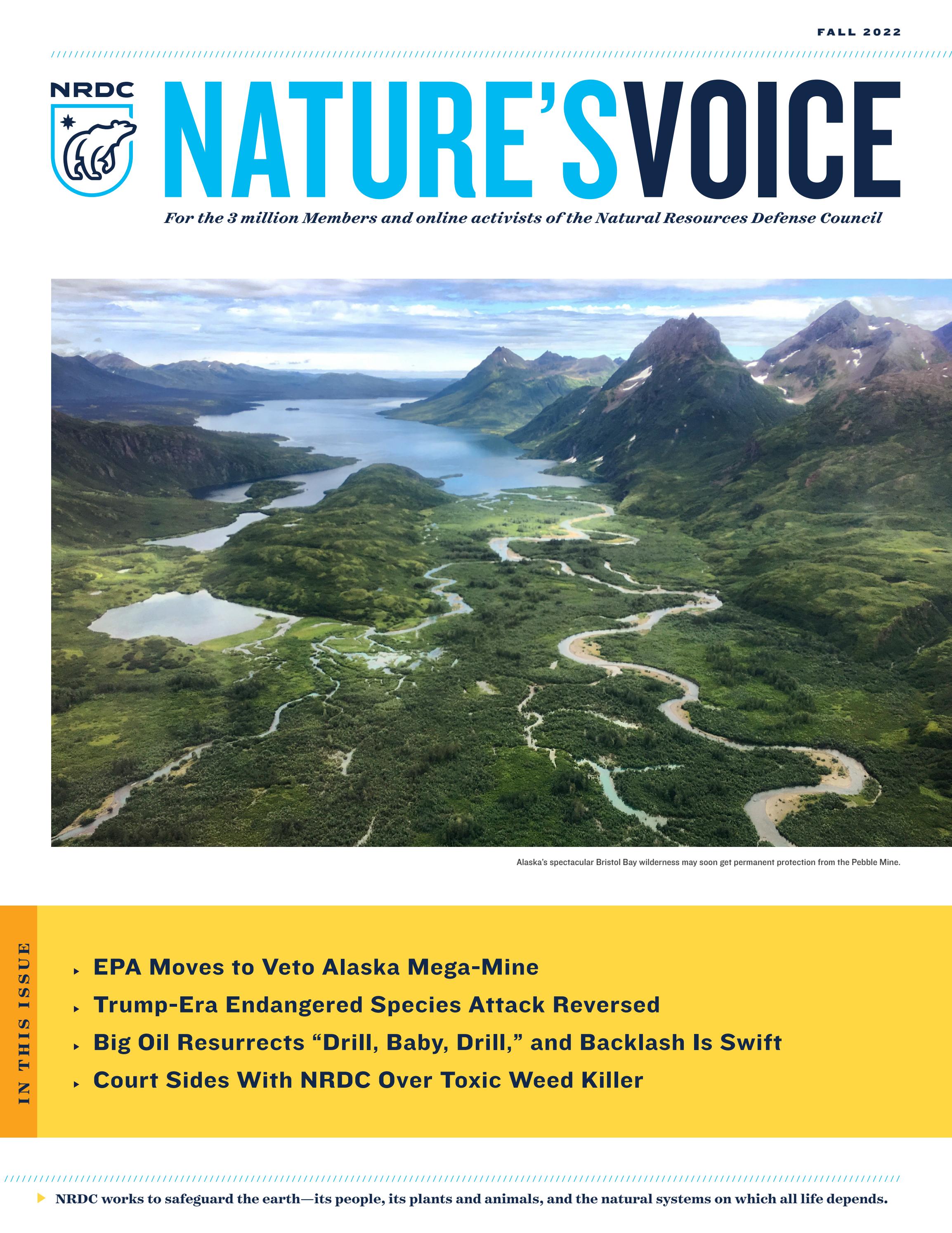 Nature's Voice Fall 2022 by NRDC - Issuu