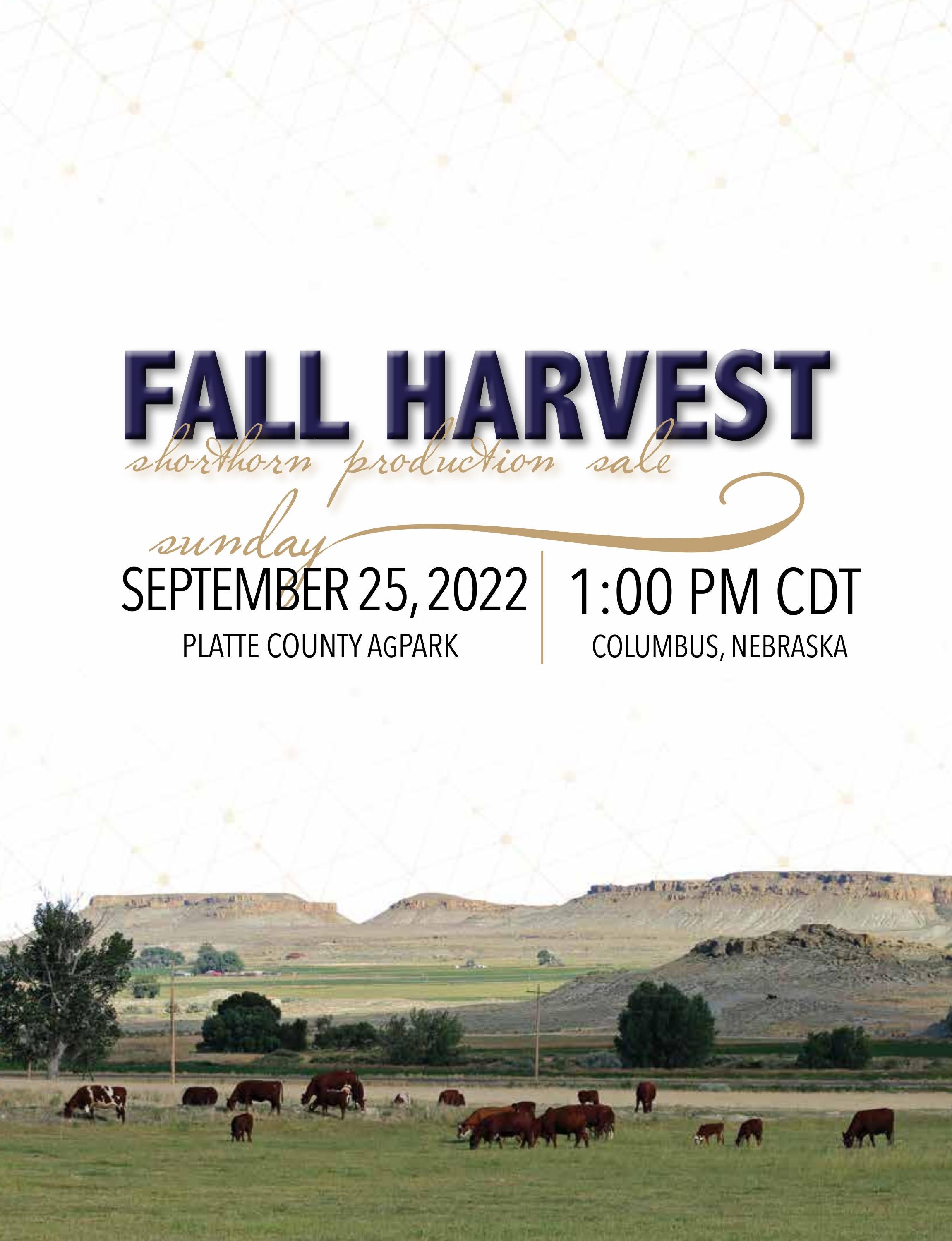 2022 Fall Harvest Shorthorn Production Sale by SCI - Stephanie Cronin ...