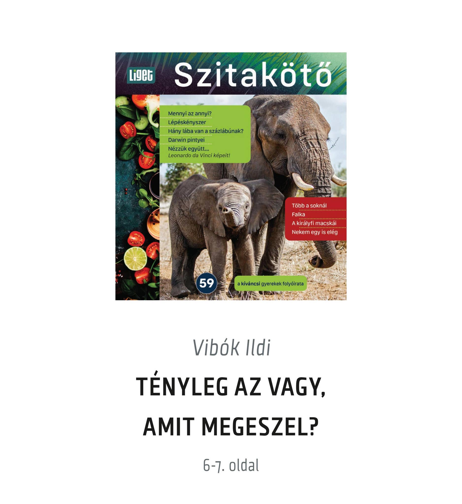 Vibók Ildi | TÉNYLEG AZ VAGY, AMIT MEGESZEL? by LIGET Műhely Alapítvány ...
