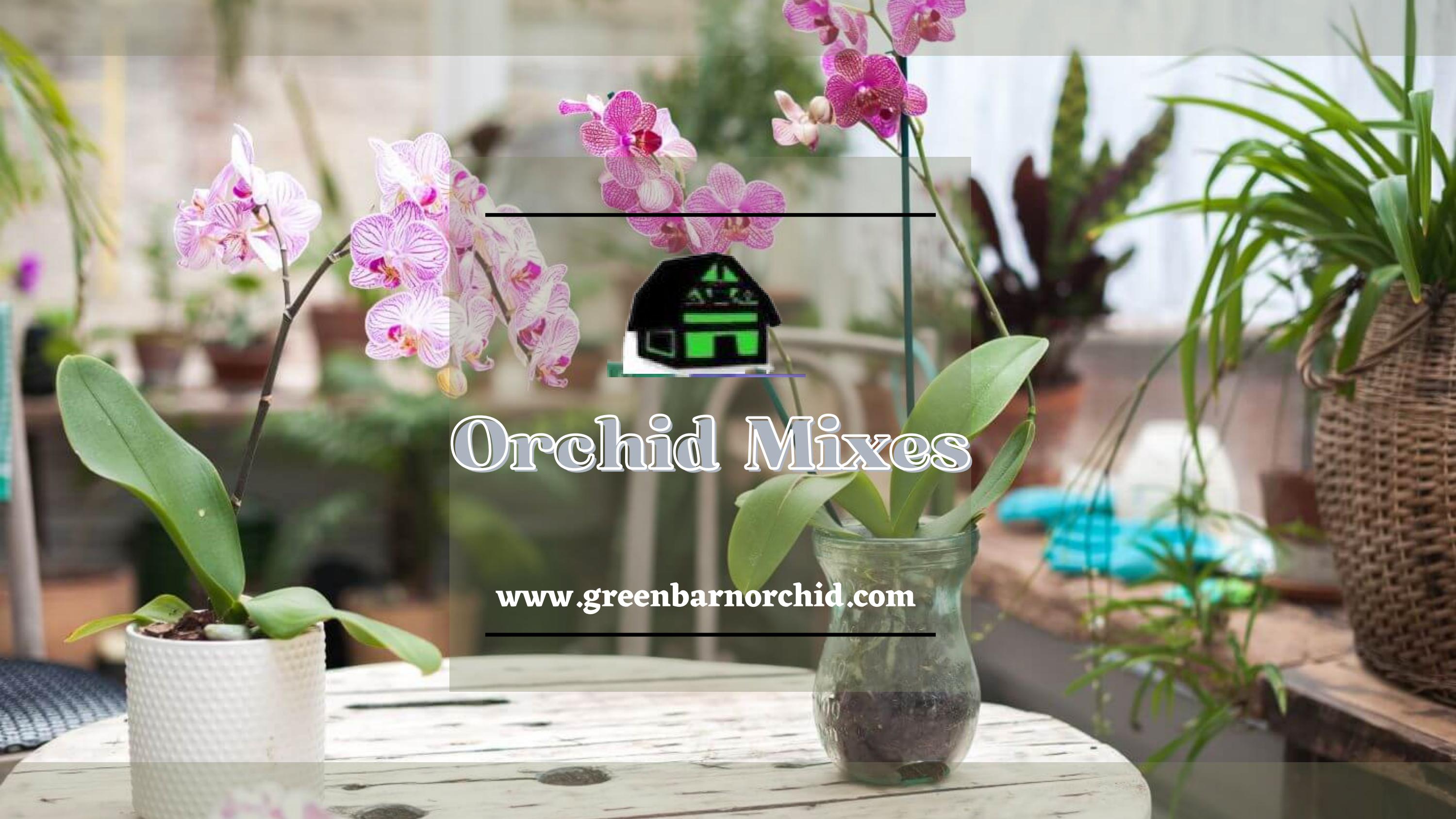 Use The Best Orchid Potting Mixes for Vigorous Orchids by Green Barn ...