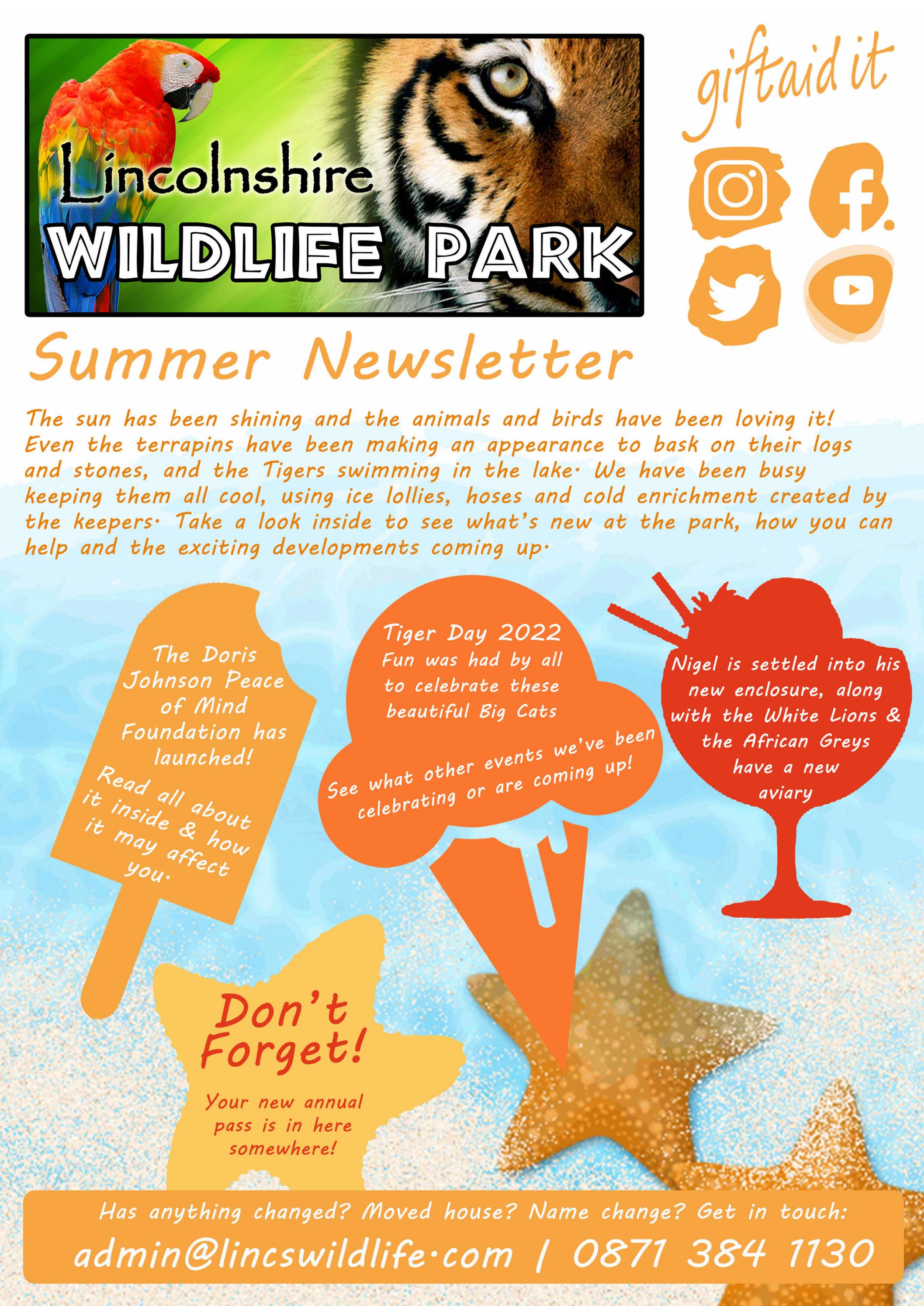 LWP Summer Newsletter by Sophie Hancox - Issuu