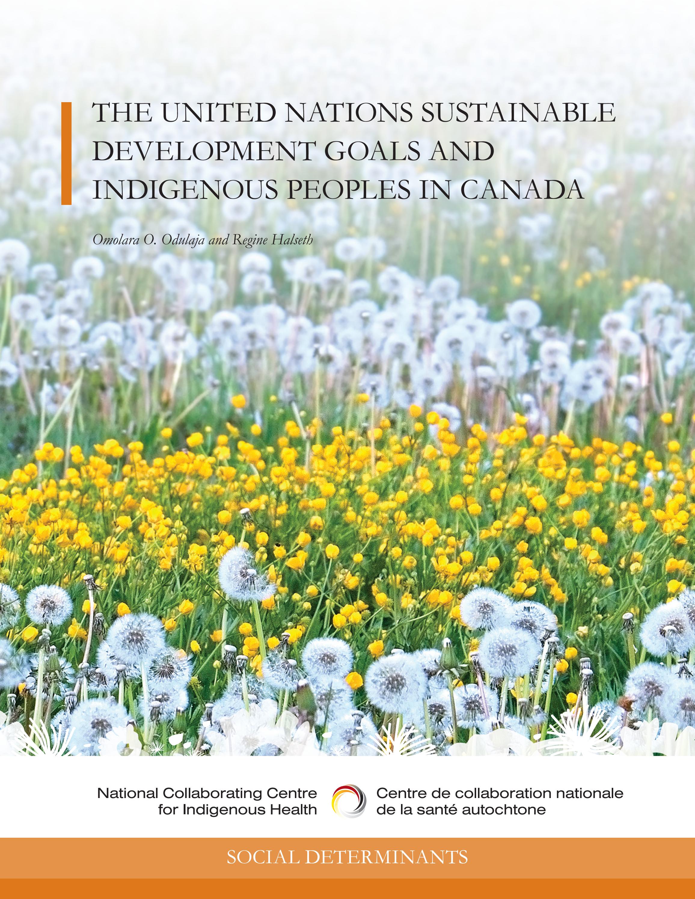 The United Nations Sustainable Development Goals and Indigenous Peoples ...