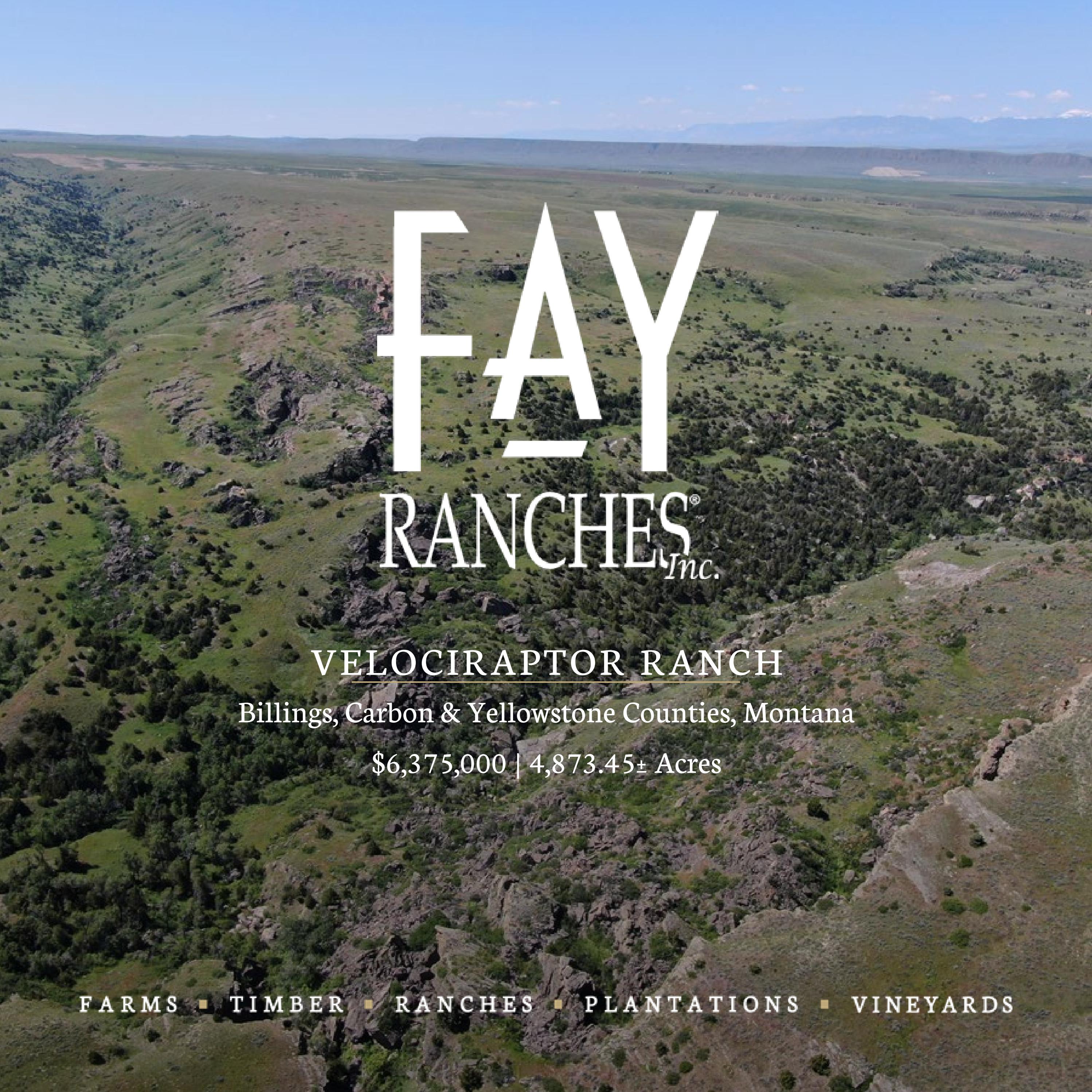 Velociraptor Ranch | Fay Ranches by Fay Ranches - Issuu