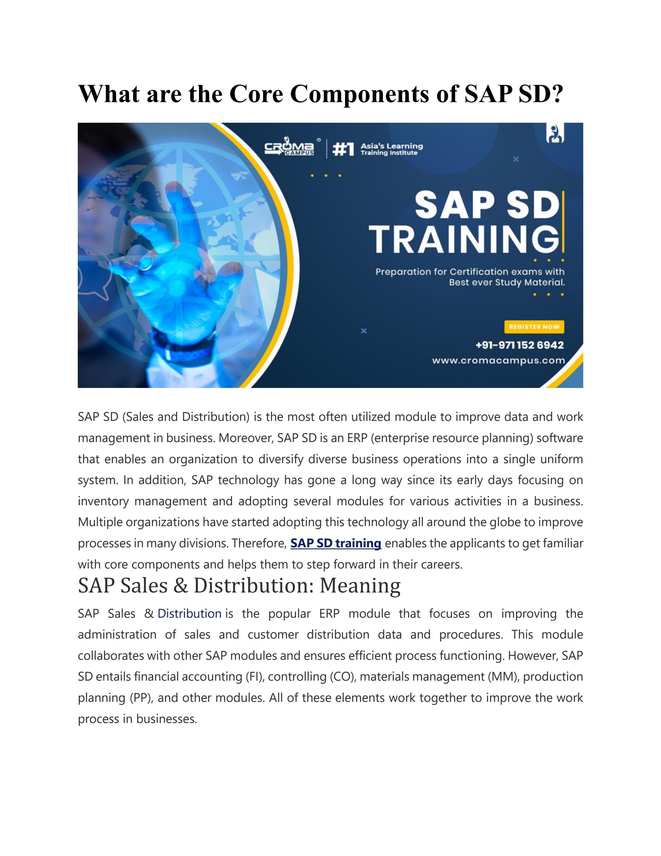 What are the Core Components of SAP SD? by Aayu Pandit - Issuu