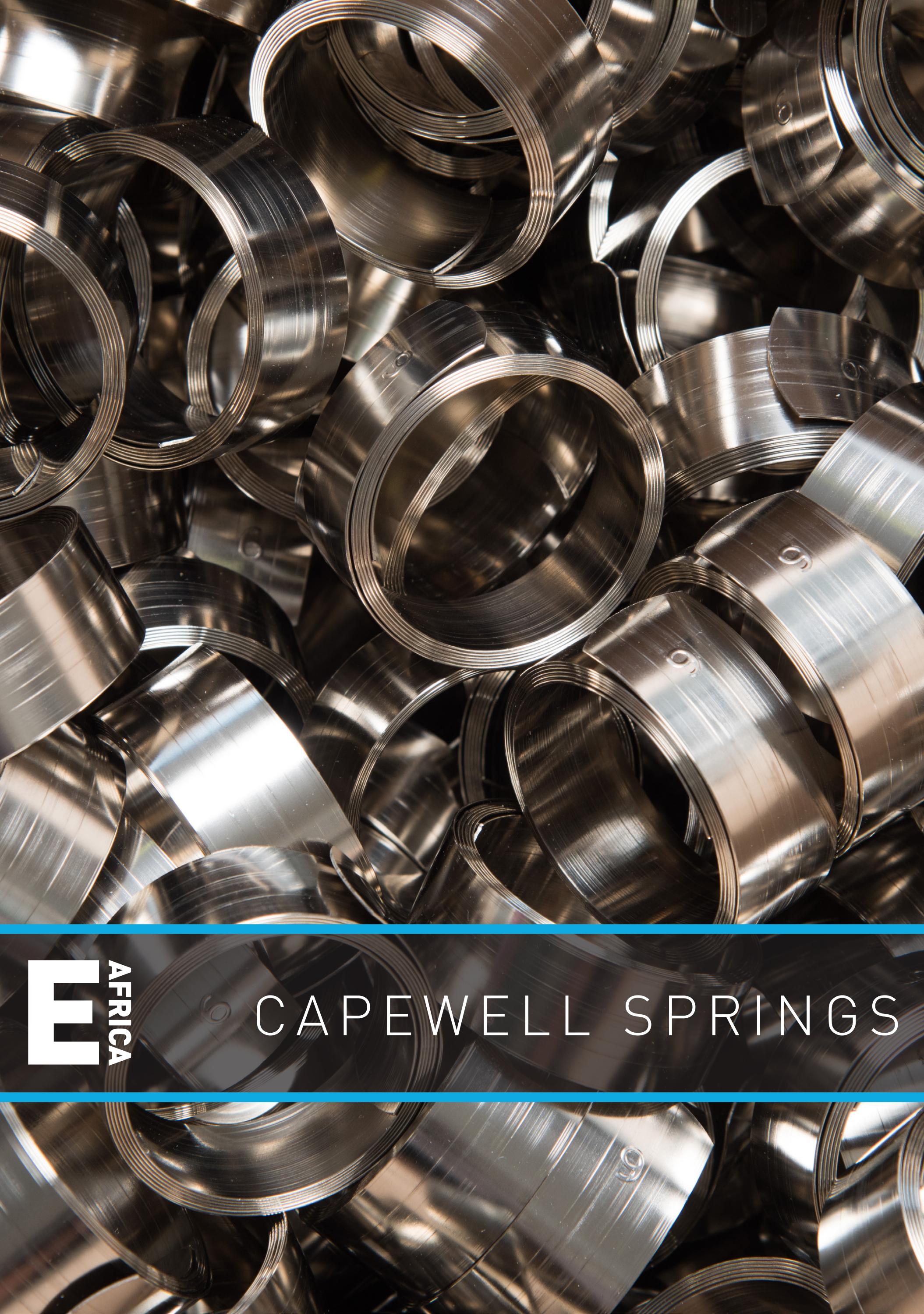 Capewell Springs and Metal Pressings / April 2020 / Enterprise Africa ...