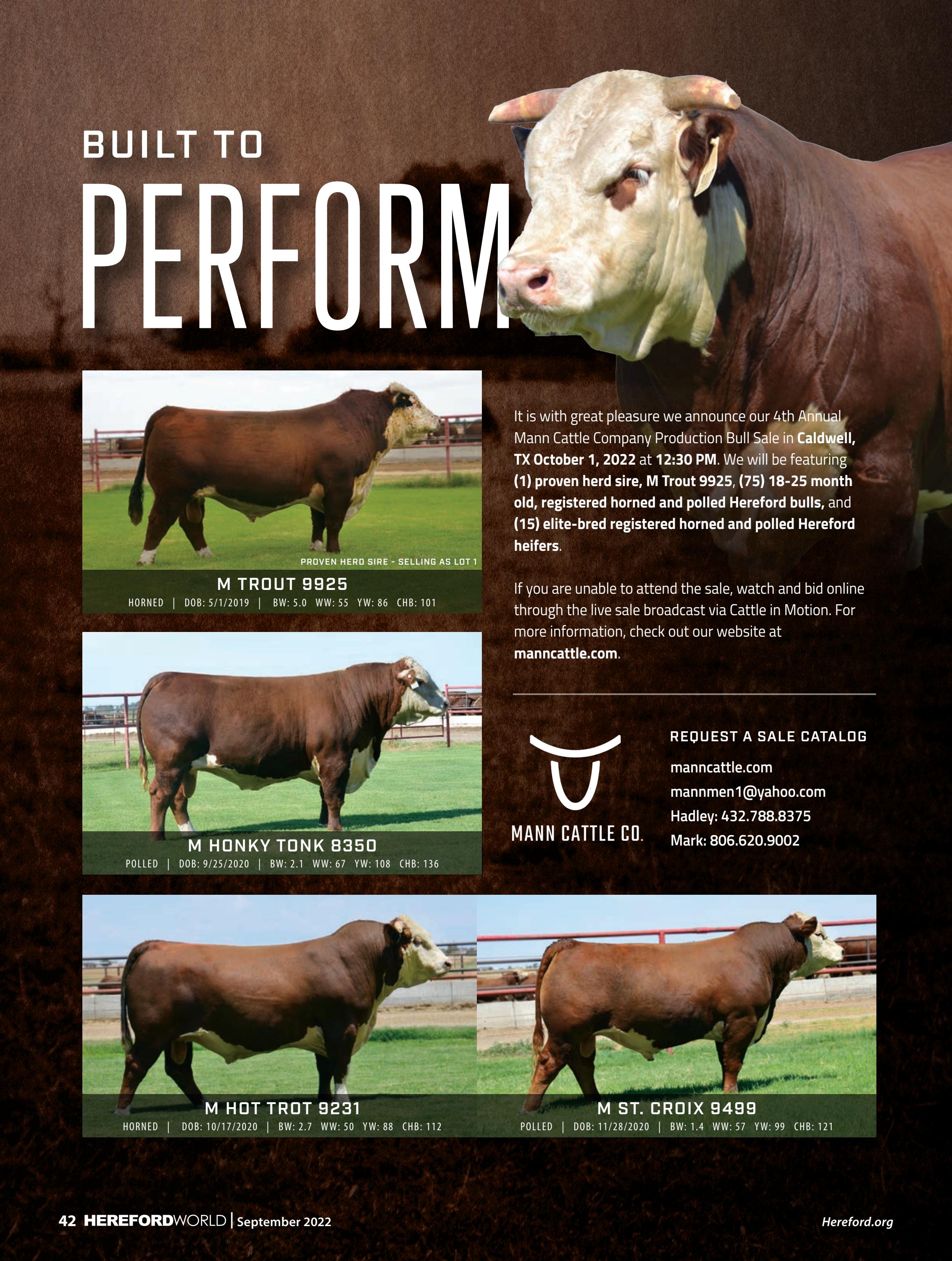 September 2022 Hereford World Magazine by American Hereford Association ...