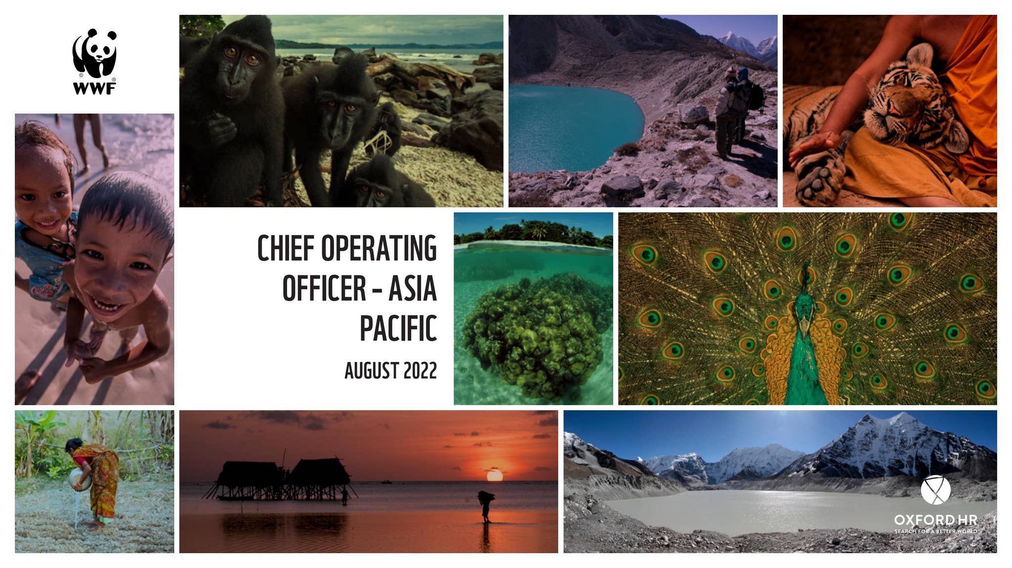 WWF - Chief Operating Officer – Asia Pacific by Oxford HR - Issuu
